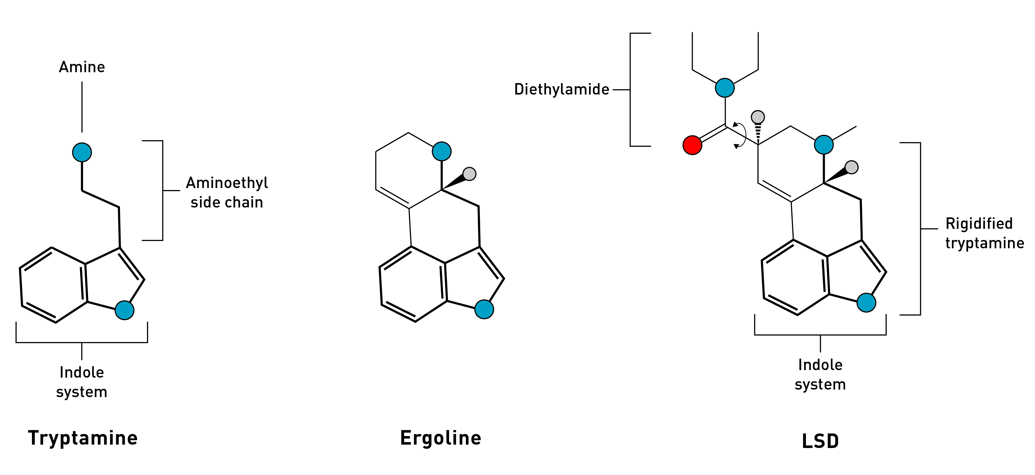 Why is LSD so potent and why does it last so long?