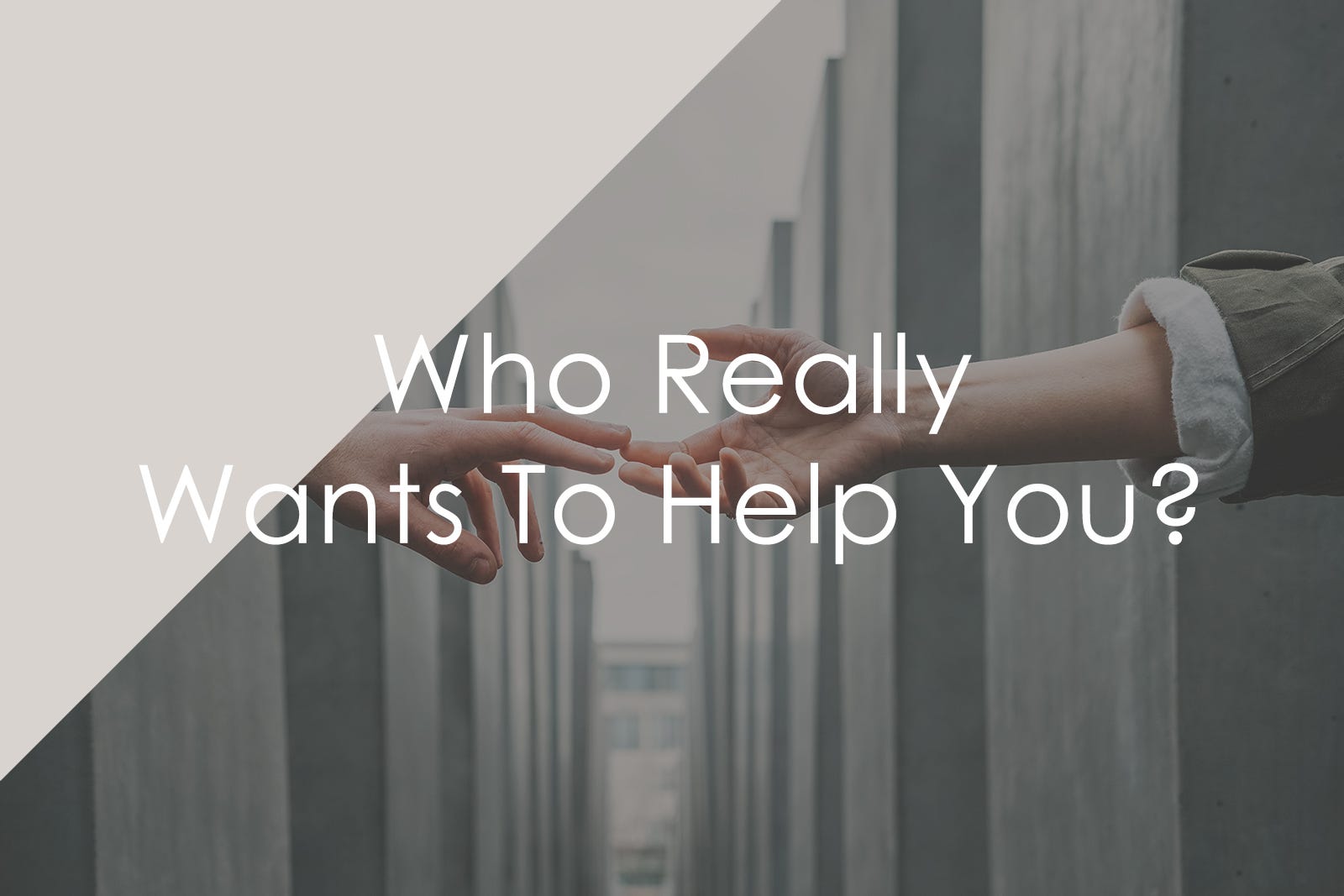 Who Really Wants To Help You? - by Miles Franklin