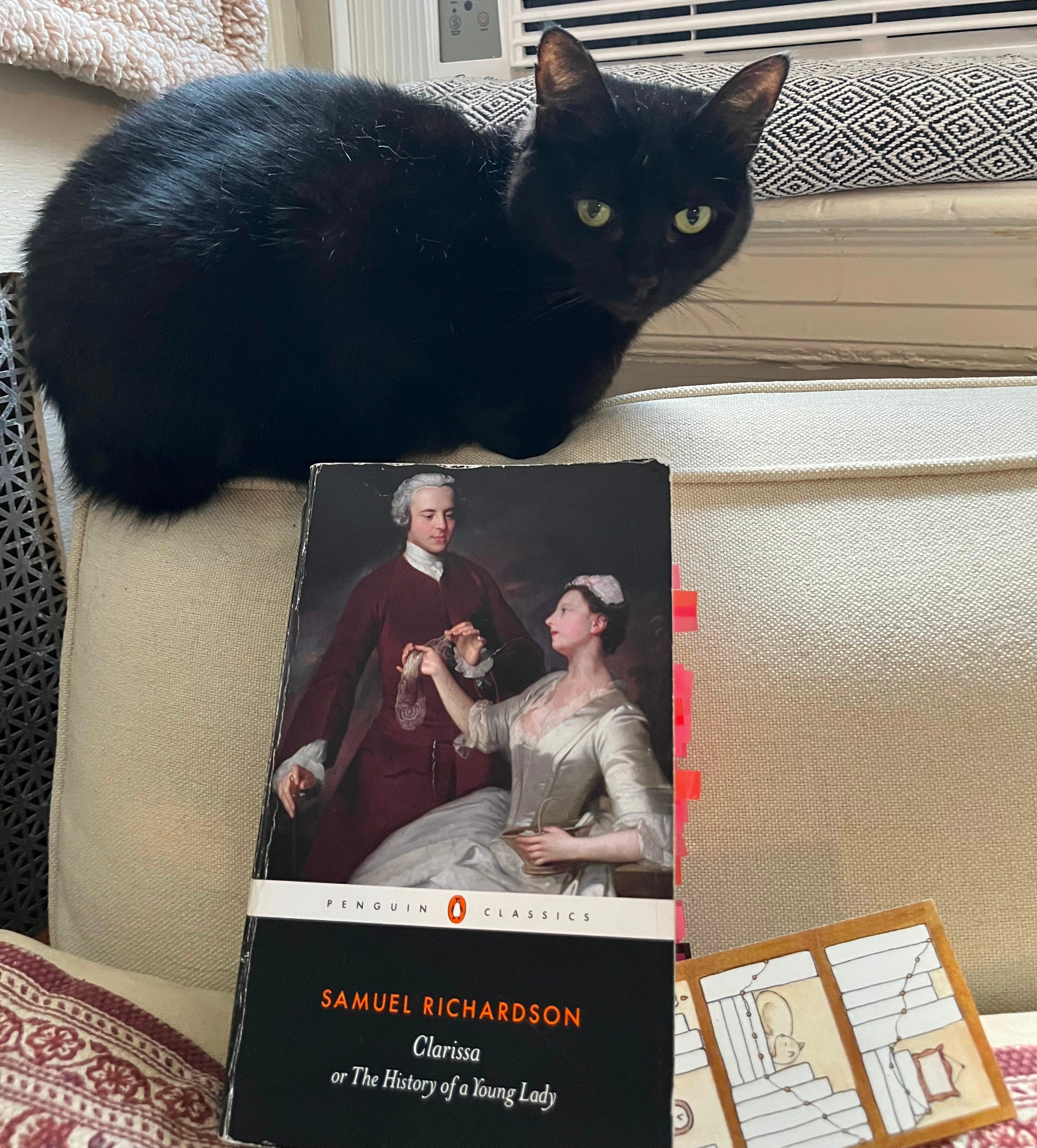 Clarissa: Is it even good? - by Nye Canham - Get Literate