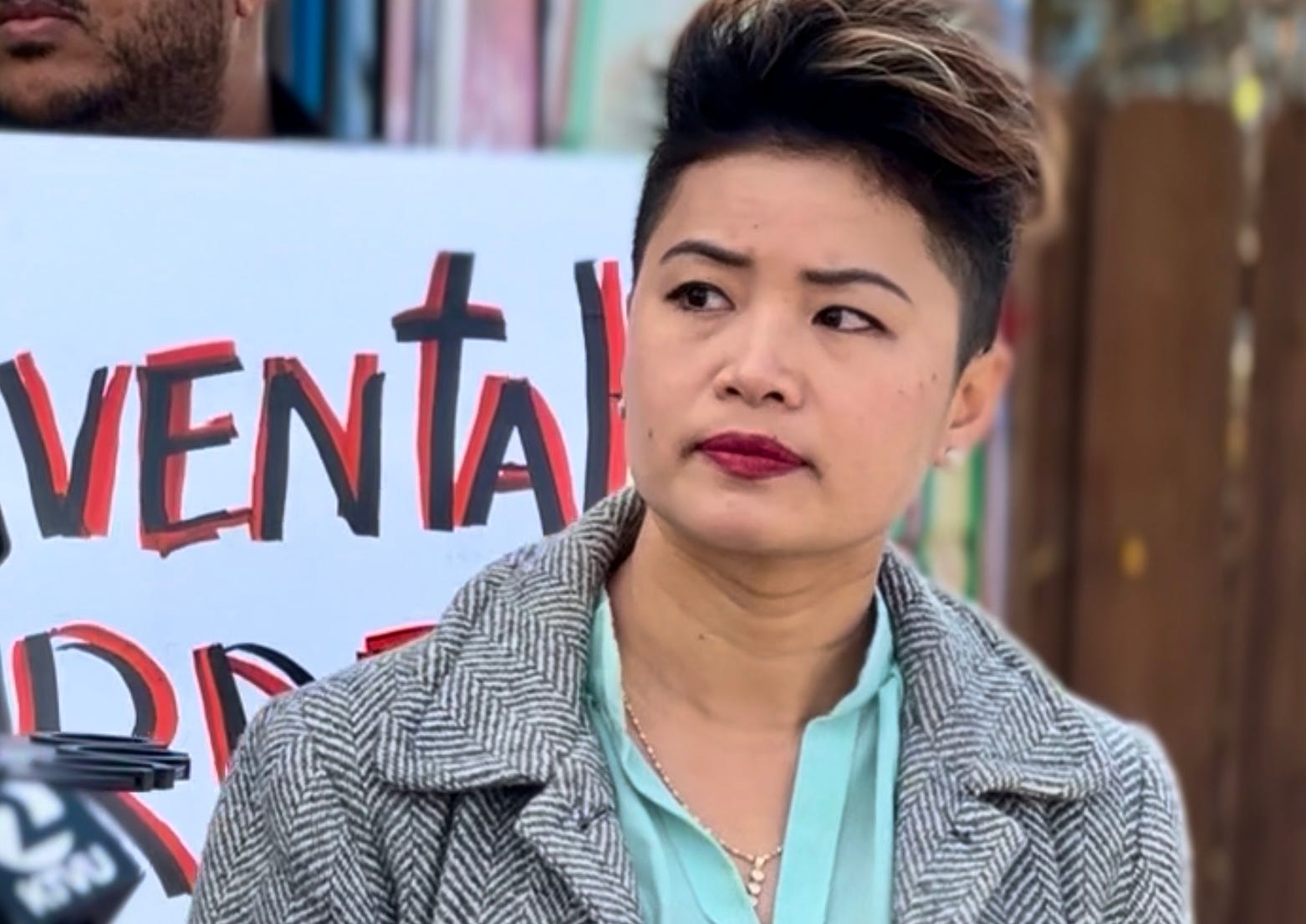 Cracks in the establishment - by Steve Tavares