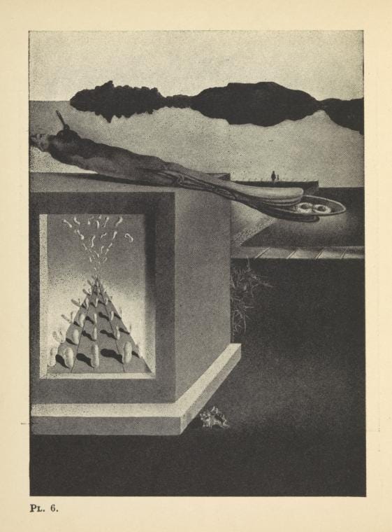 Sean Thor Conroe's Automatic Realism - by Meg Cook