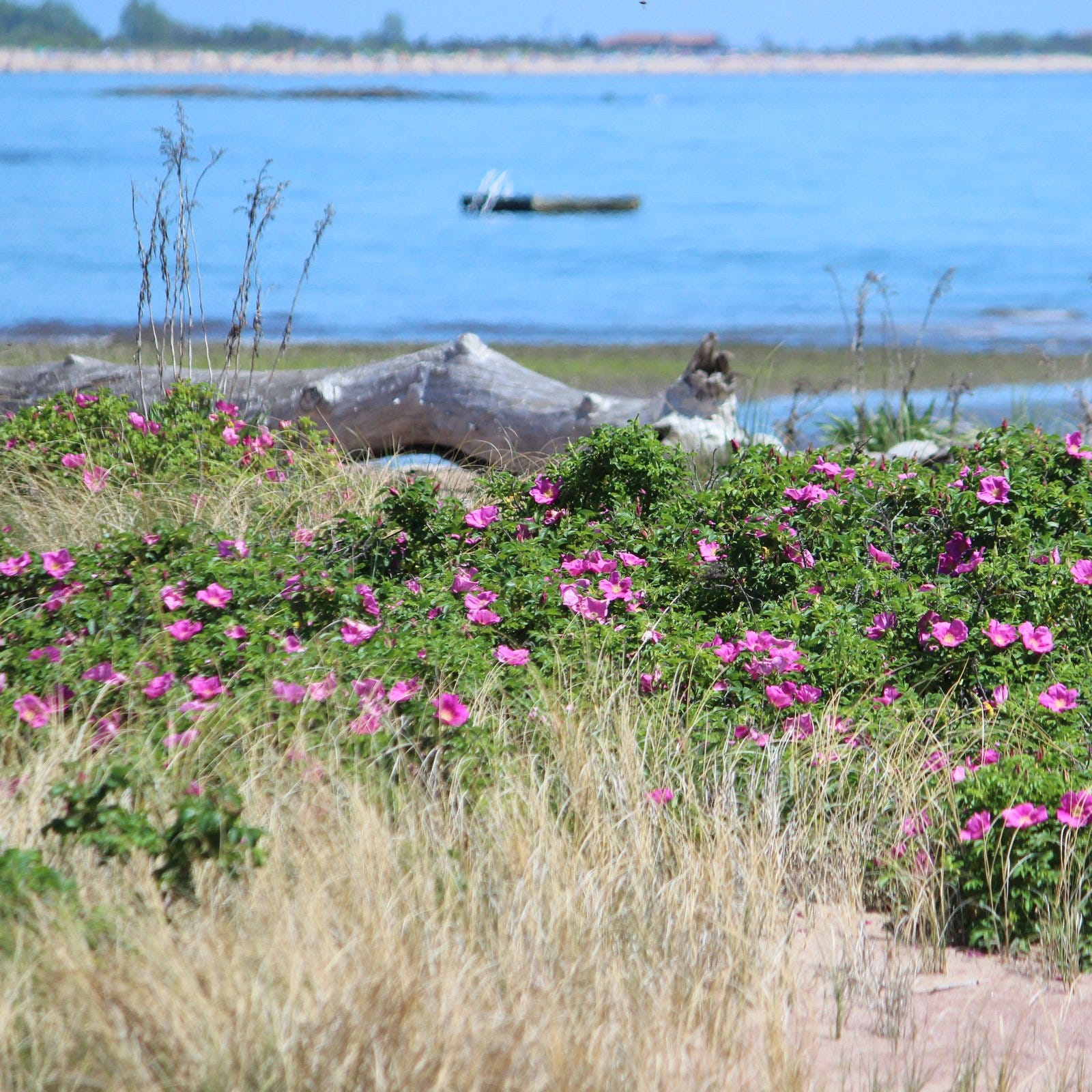 New England's Preppiest Towns