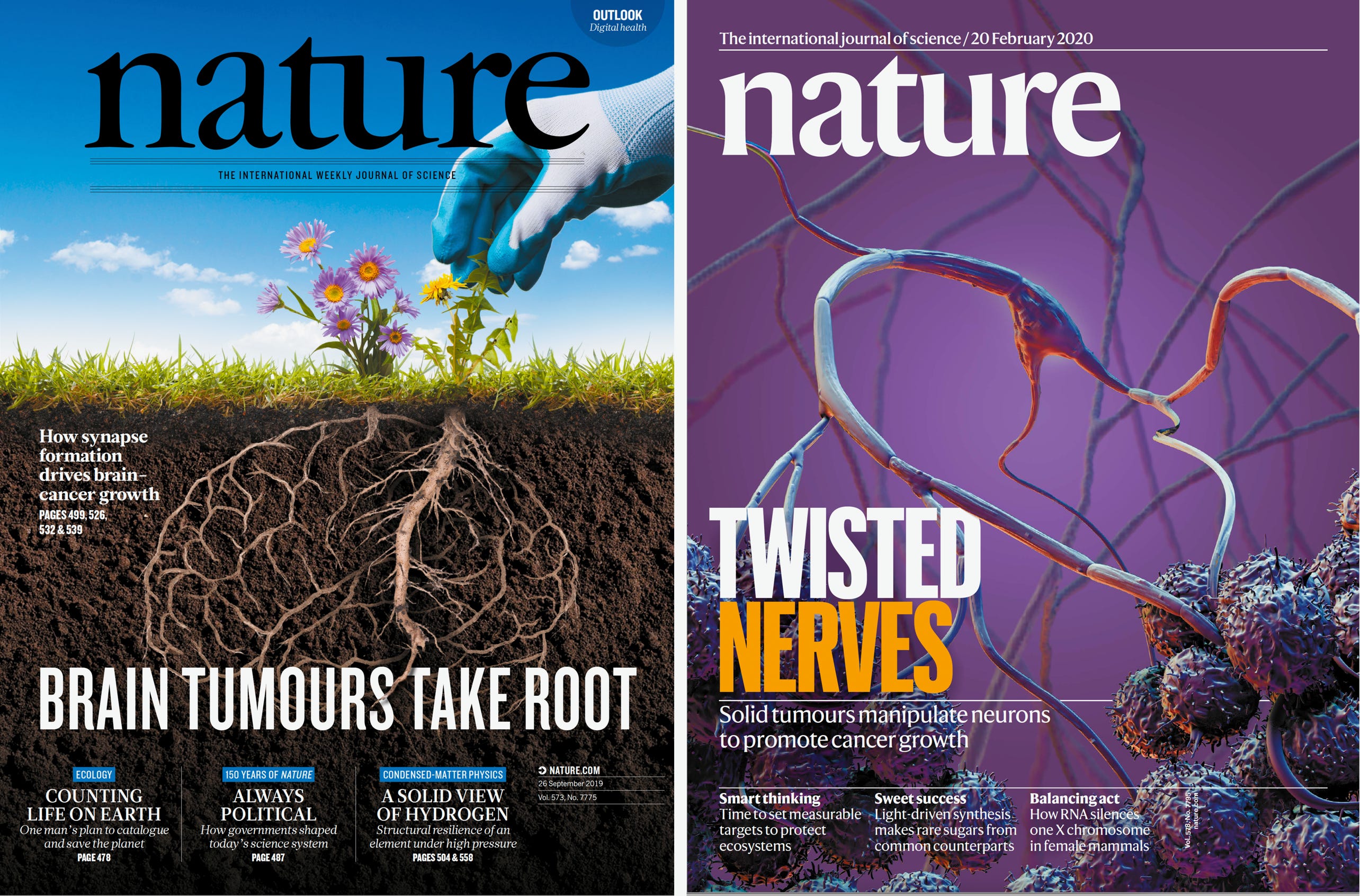 Cancer and the Nervous System - by Eric Topol