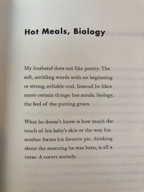 Introducing...Poetry Pals - by Nelly Bryce - Poetry Pals