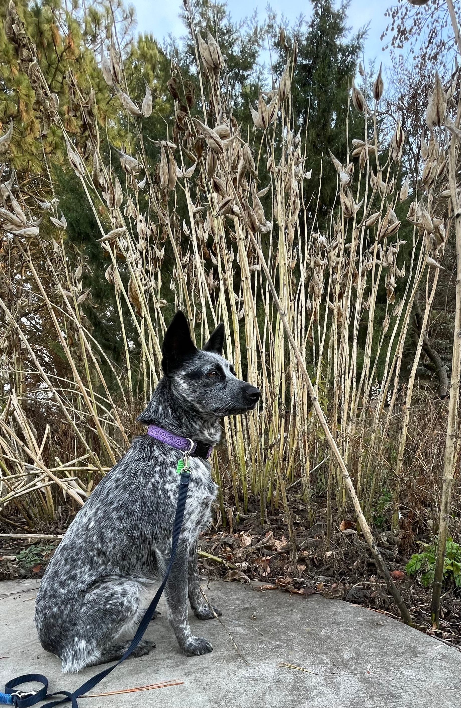 the purpose of no purpose - by Sarah C Swett - The Gusset