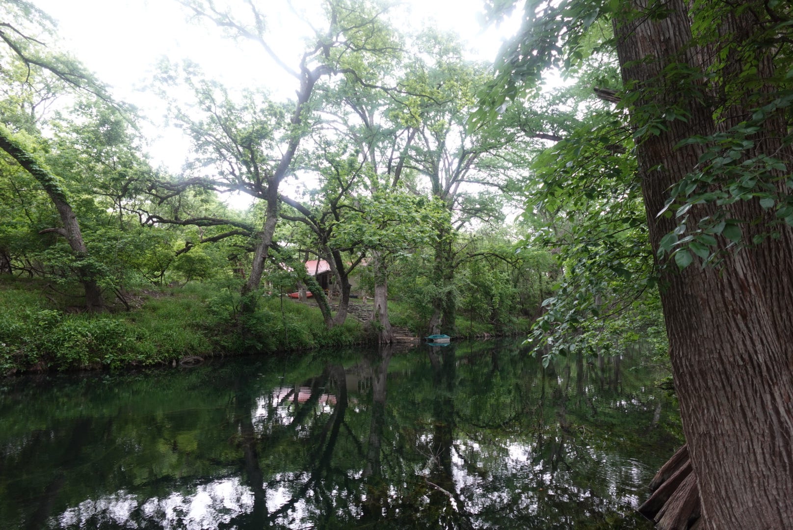 Our Precious World — With Its Life And Sound