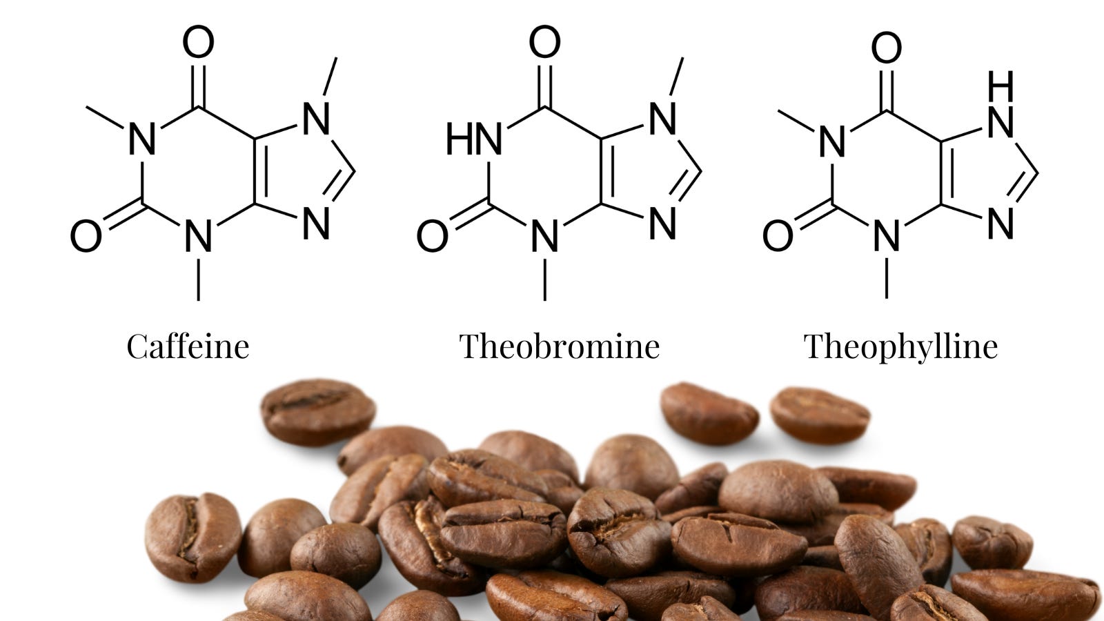 A new brew: Coffee plus olive oil - by Cassandra Quave