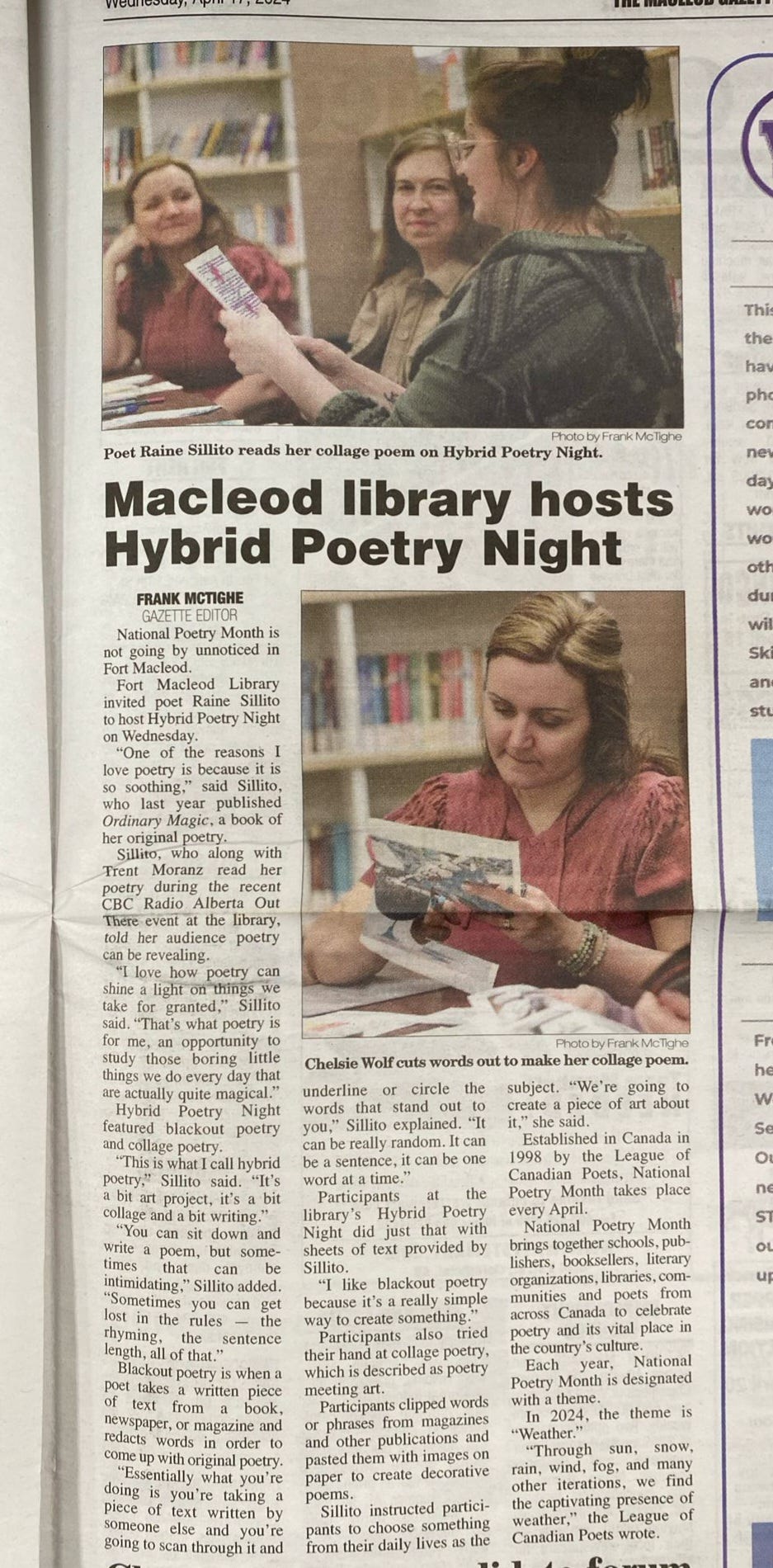 "Poetry arrived in search of me" - by Raine Sillito