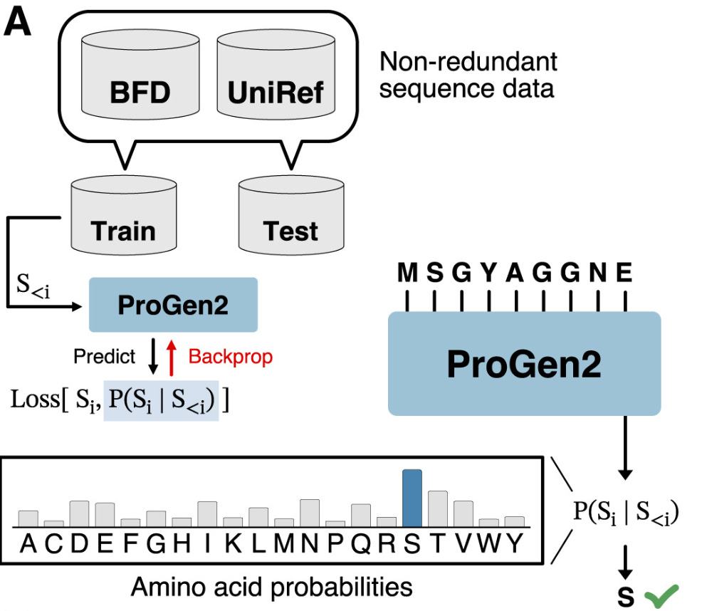 Generating (Somewhat) New Biology with AI