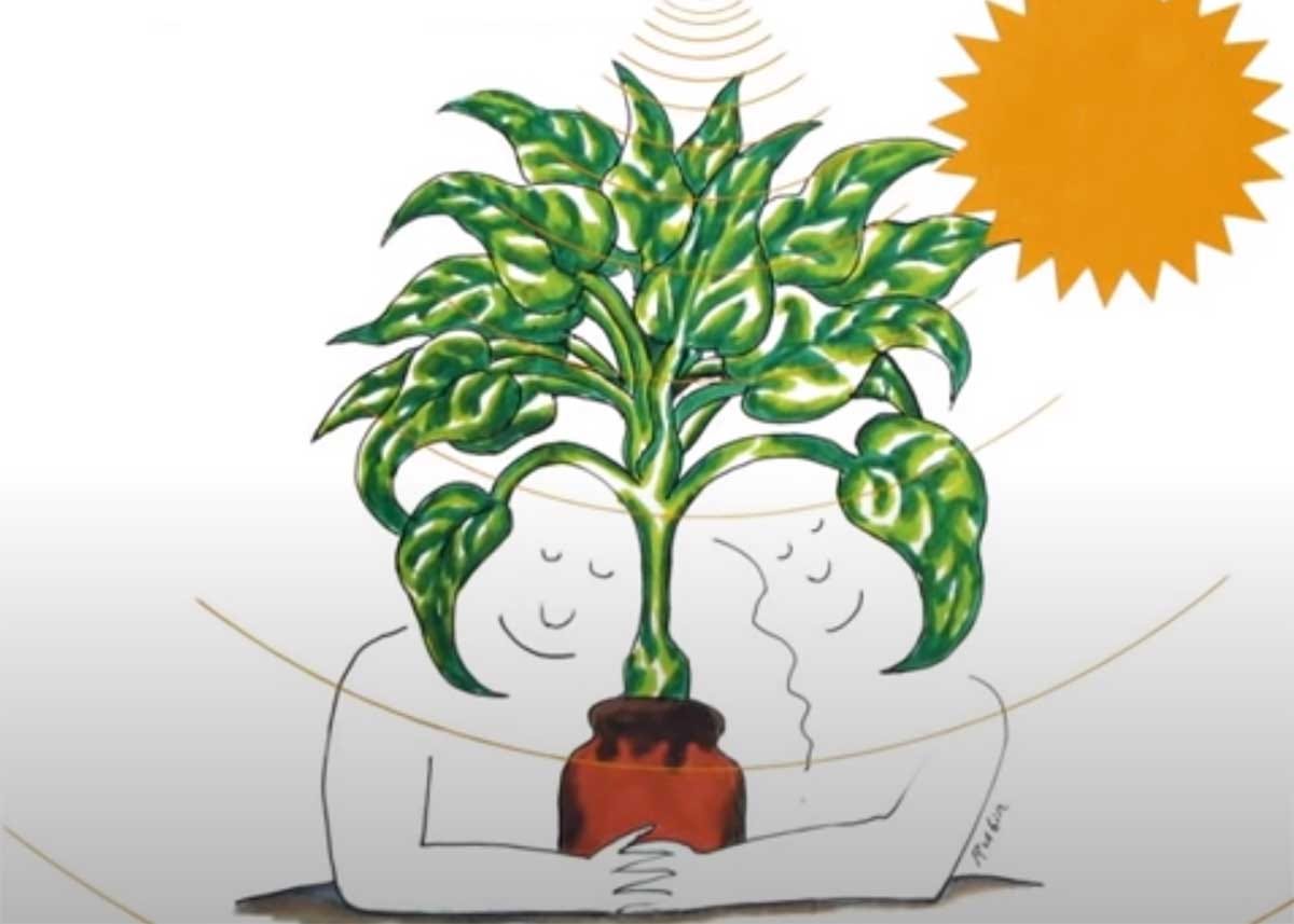 Plantasia is music for plants - The Retroist