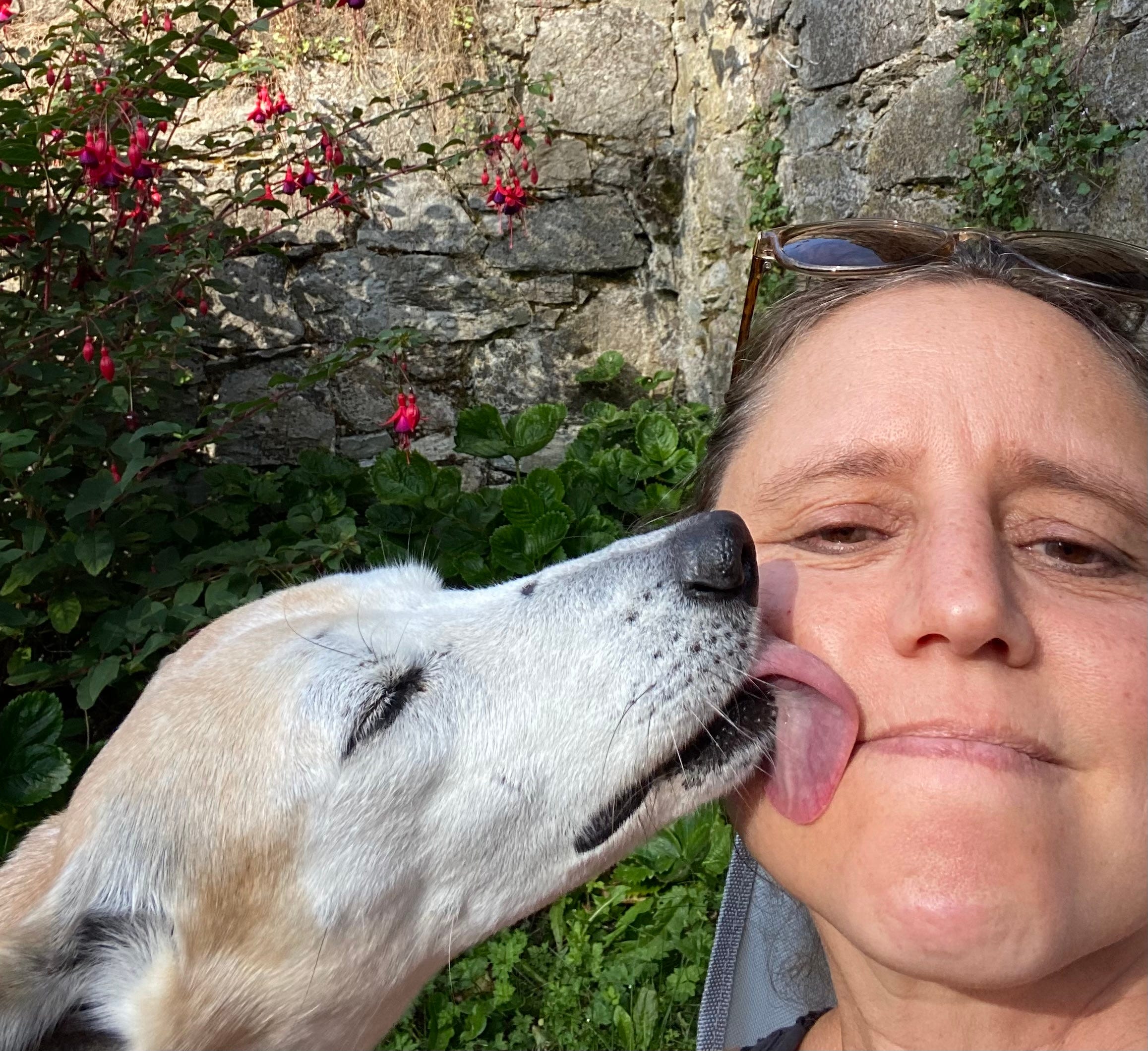 Welcome, Friends... Pull Up a Chair - by Sally Prag