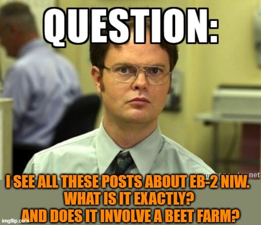 EB-2 NIW: An Updated Primer (Jan 2024) - by Robert Webber