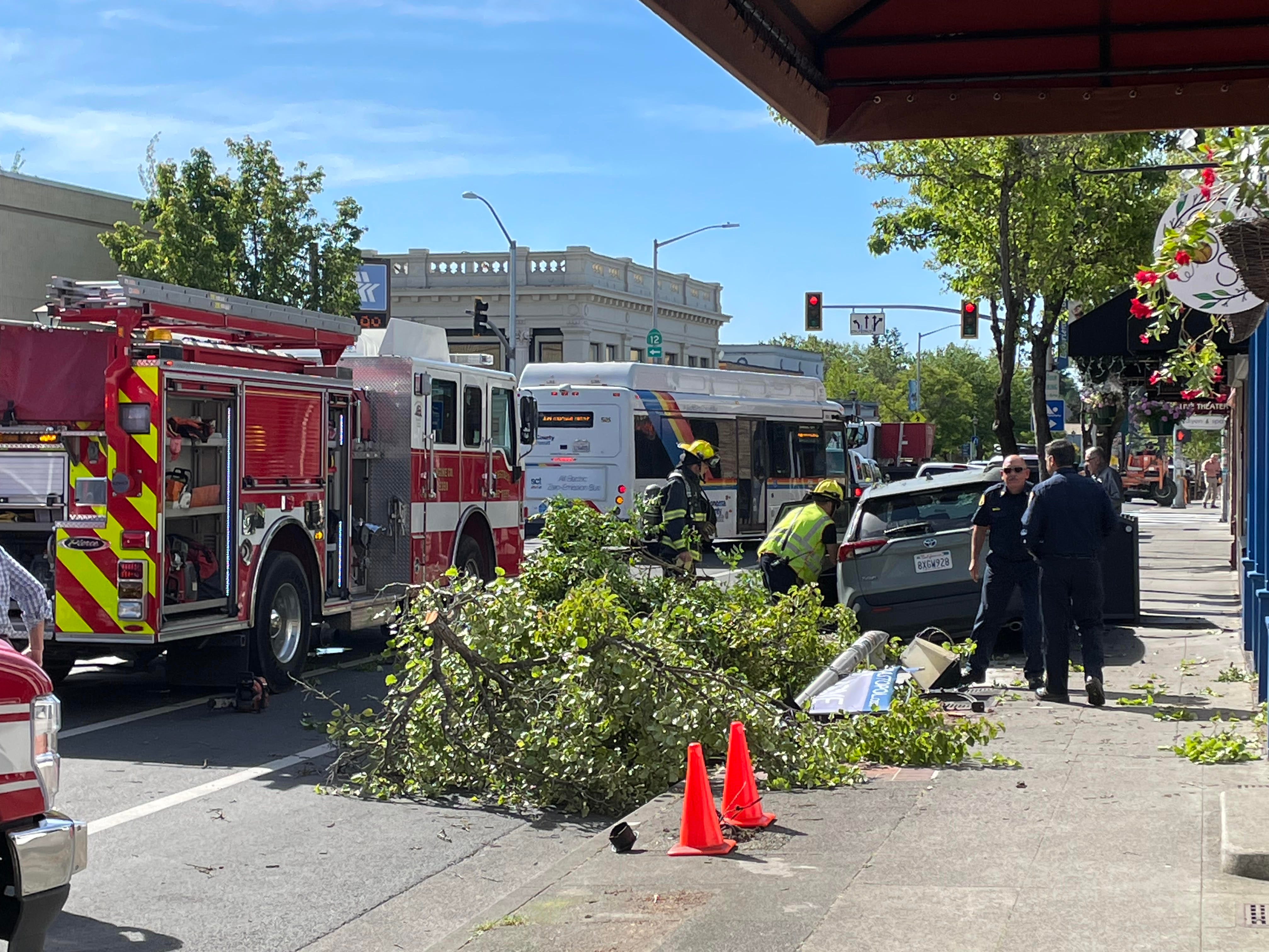 Downtown debacle - by Laura Hagar Rush - Sebastopol Times