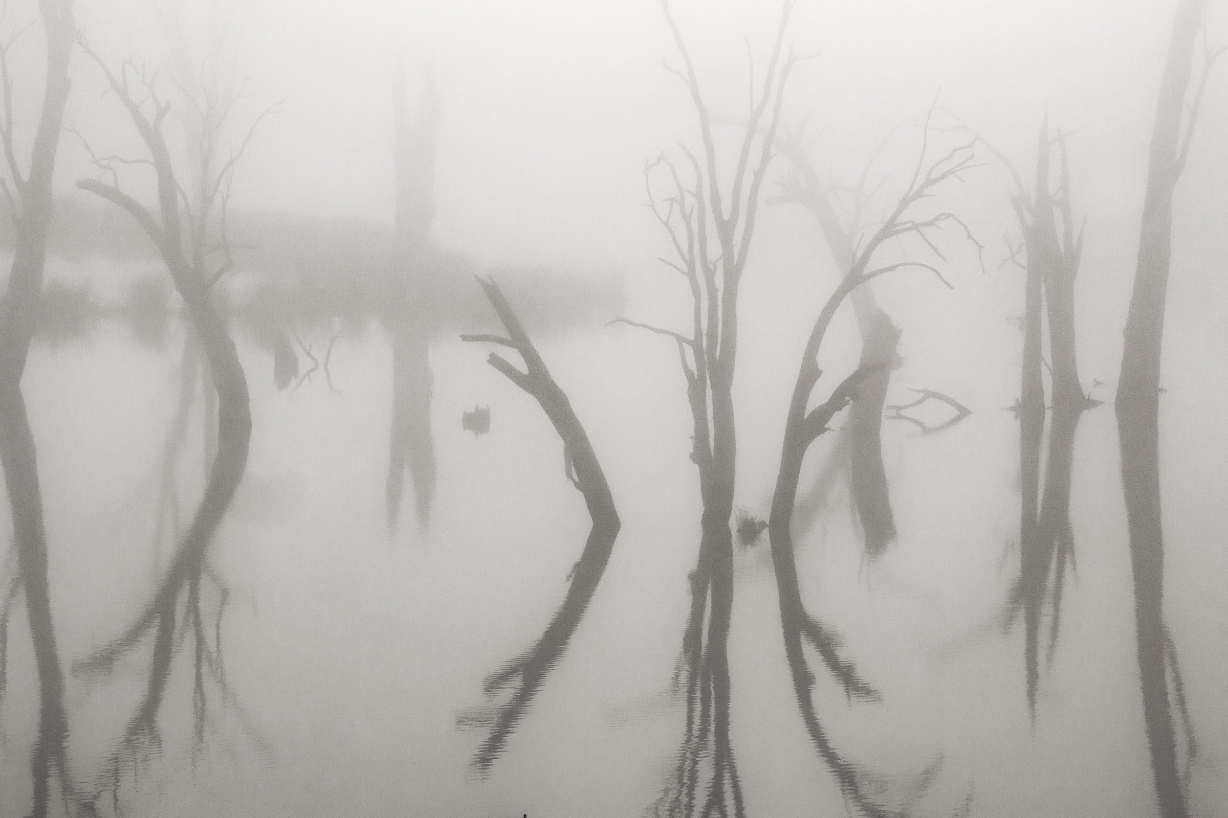 How it works - Part 2: Being sponsored - by Dave Willans