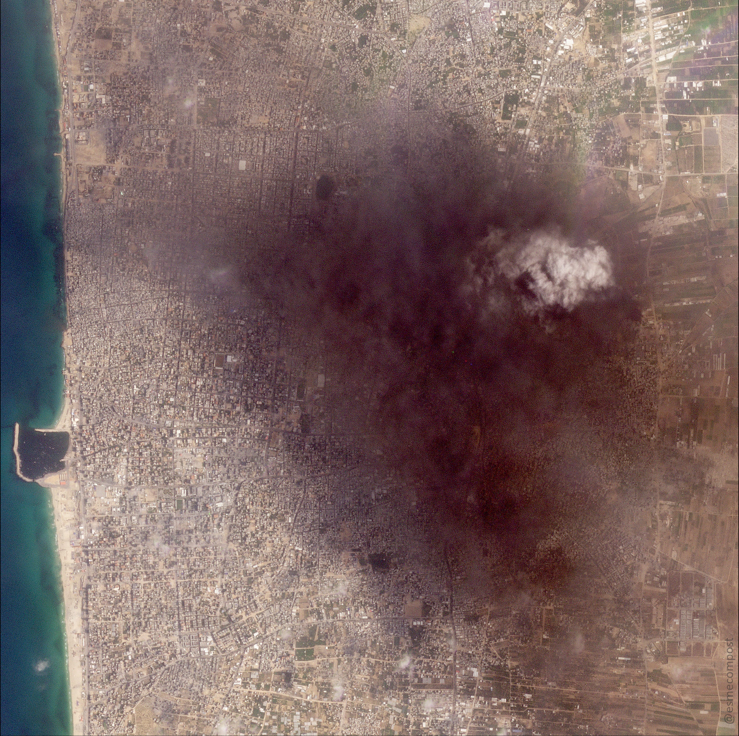 Witnessing Future Violence - by Alice Zoo - INTERLOPER