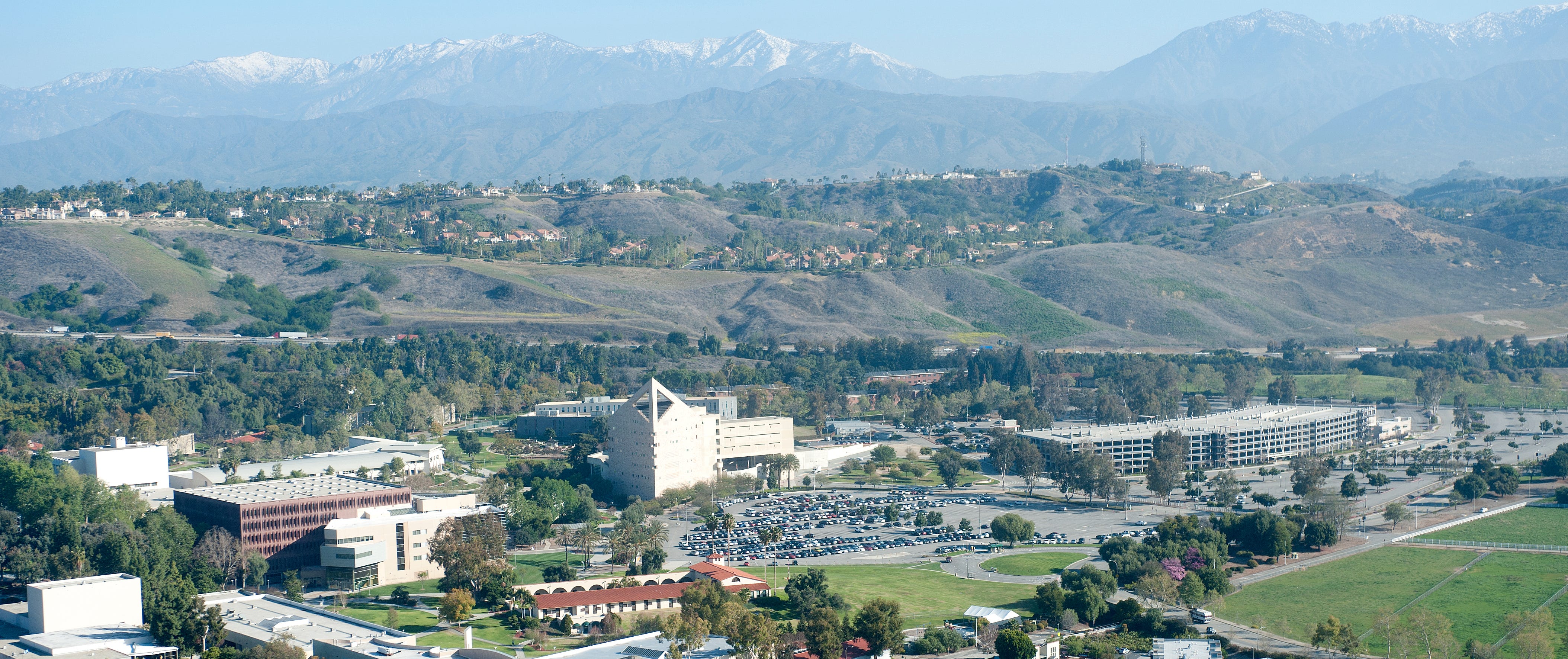 Ungrading in Crop Ecology - by Victoria Bhavsar