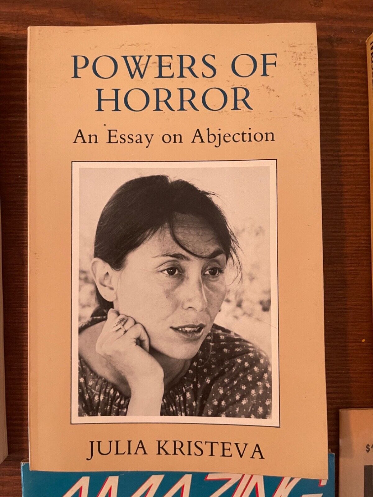 Brief Review: Kristeva's Powers of Horror - by isaac