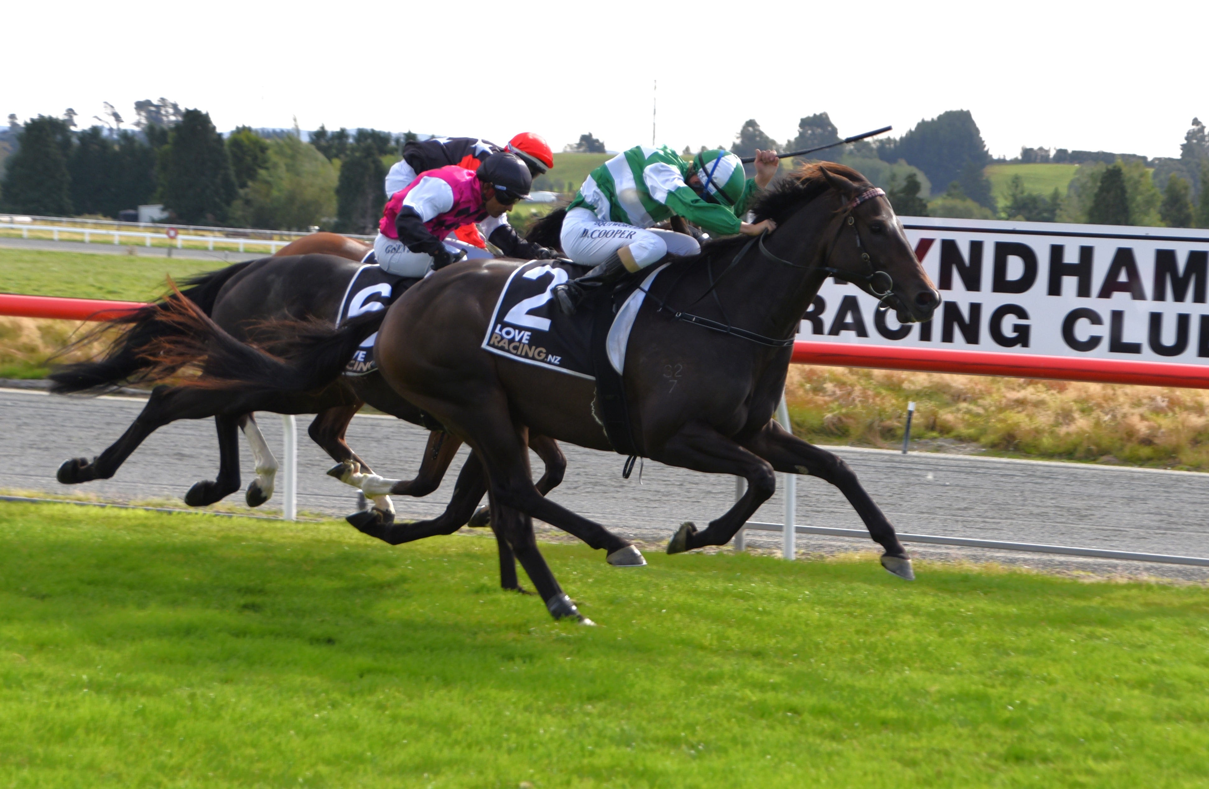 Hotel patrons' horse hot Riverton Cup prospect