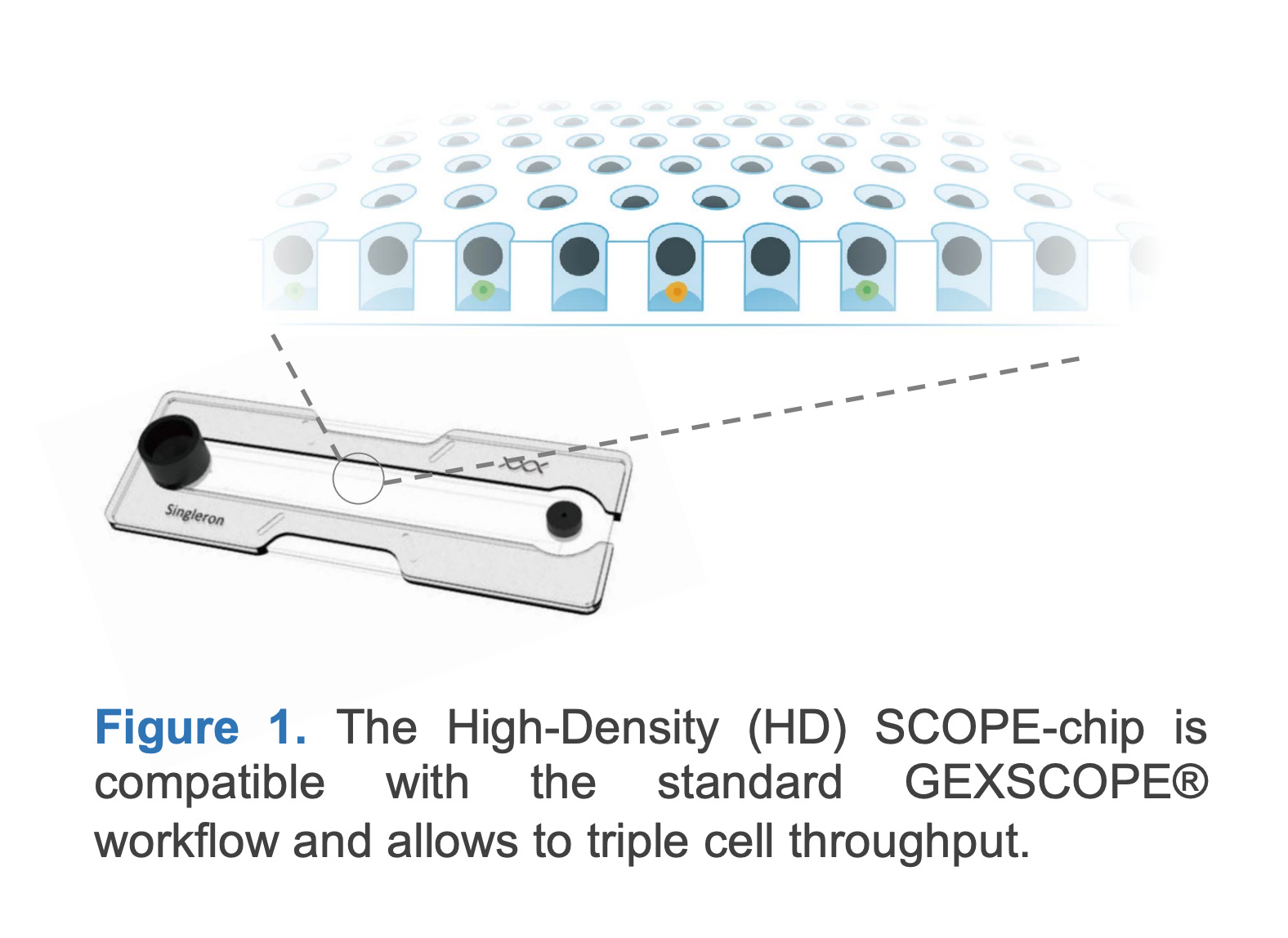 Landscape of Single-cell Technologies - by Hannah Le