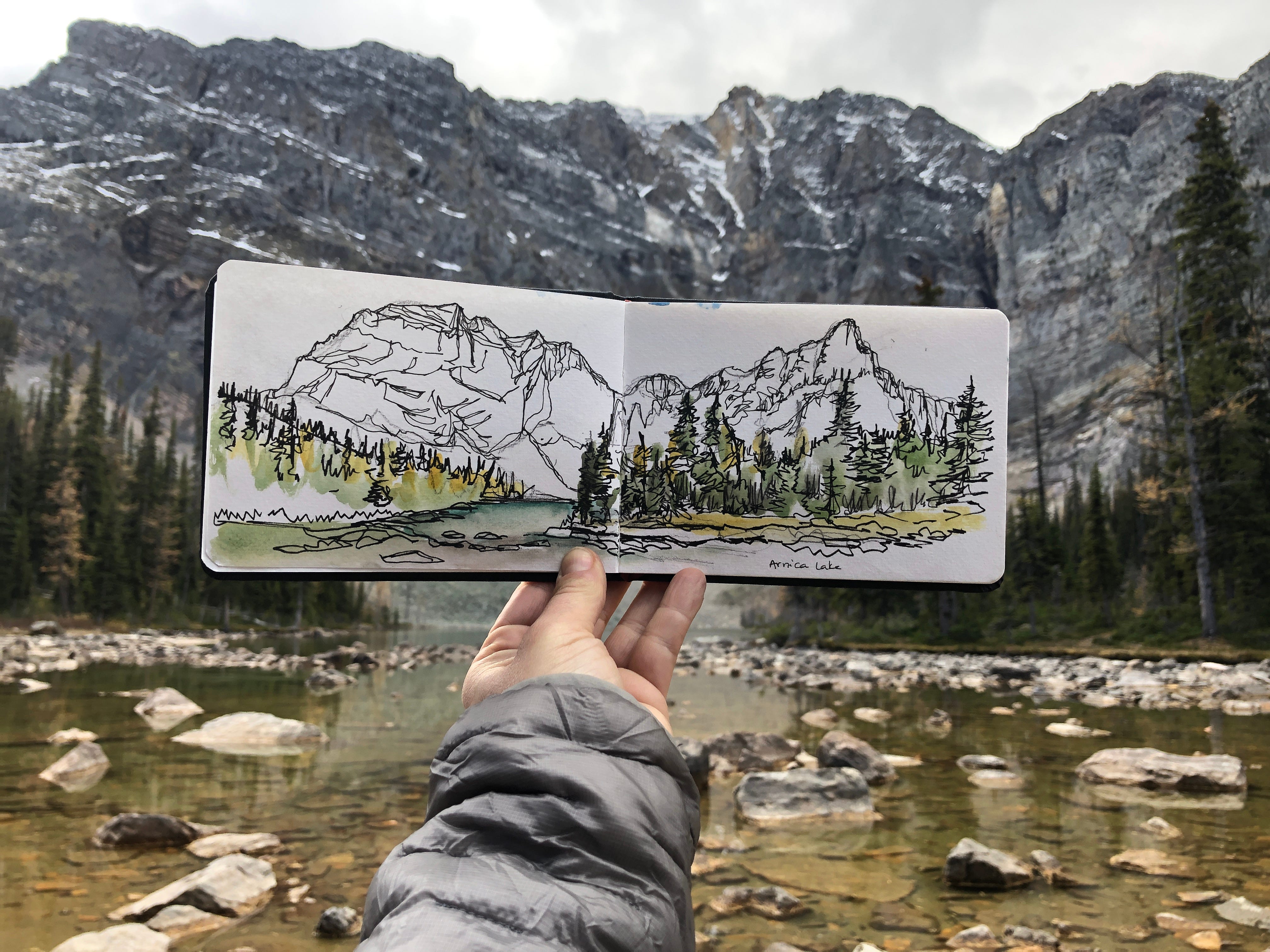 Moving Sketch - by Kristin Link - Weekly Nature Journal