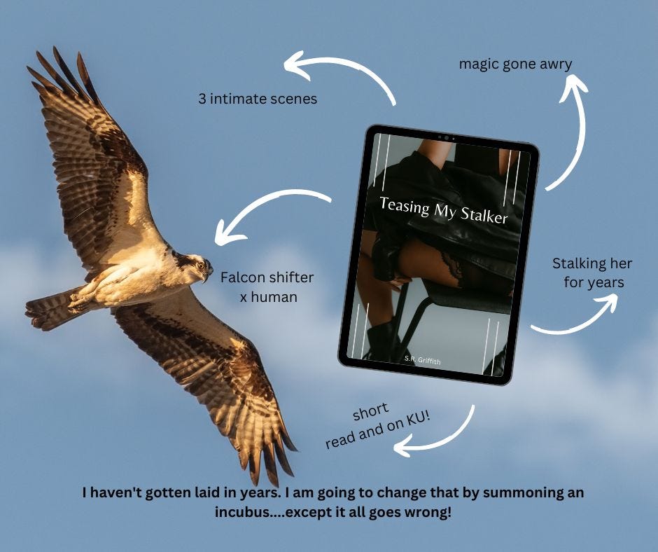 NEW RELEASES - by S. R. Griffith - S. R Griffith’s Words