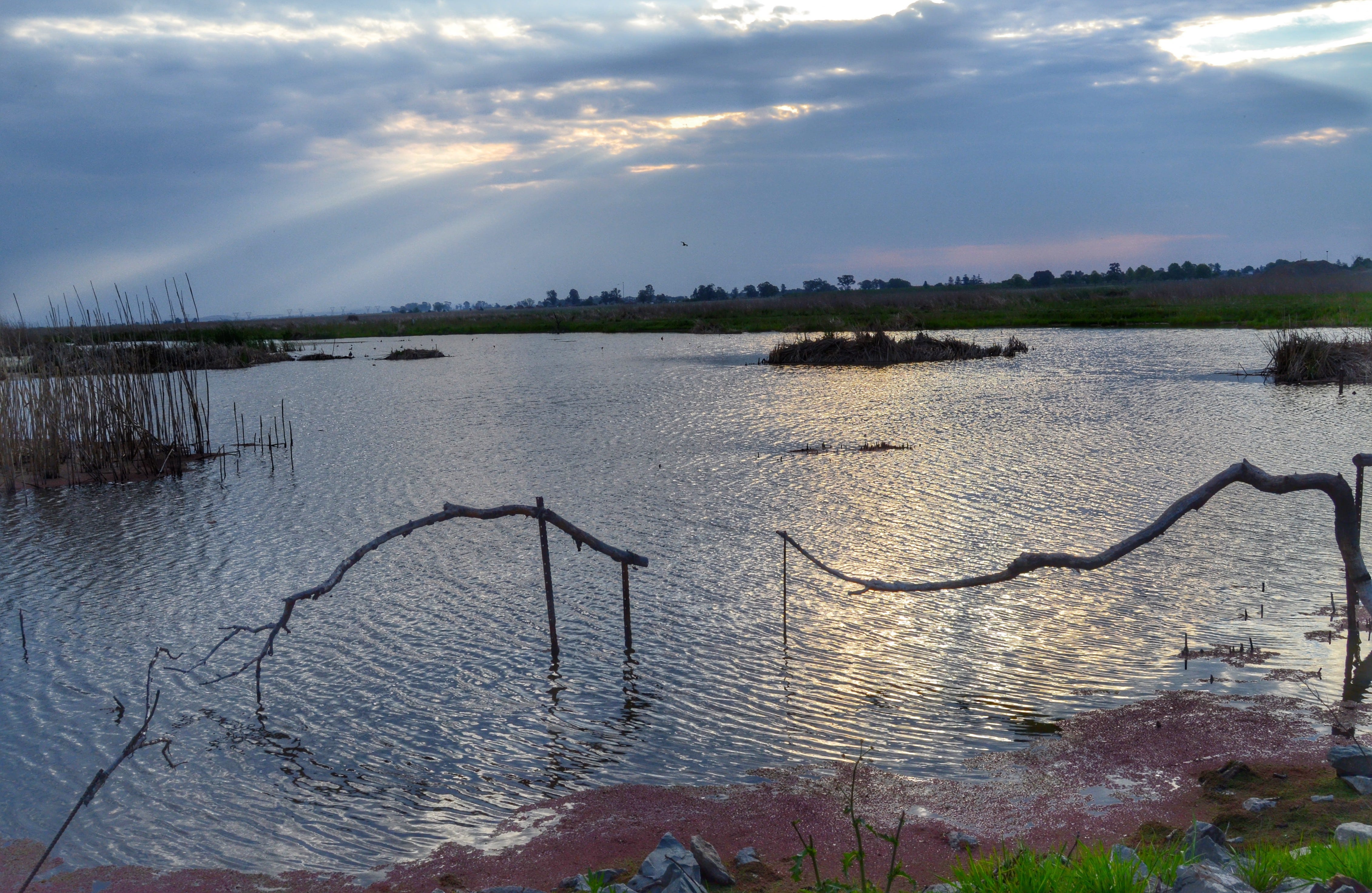 Reach out - by Rea de Miranda - Rea’s Substack