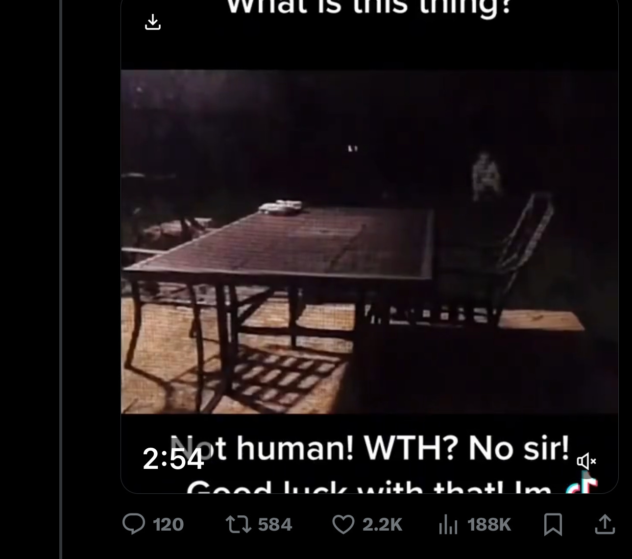 PART 1: Uncategorized Subterranean Lifeforms (USLs): Pale Crawlers ...