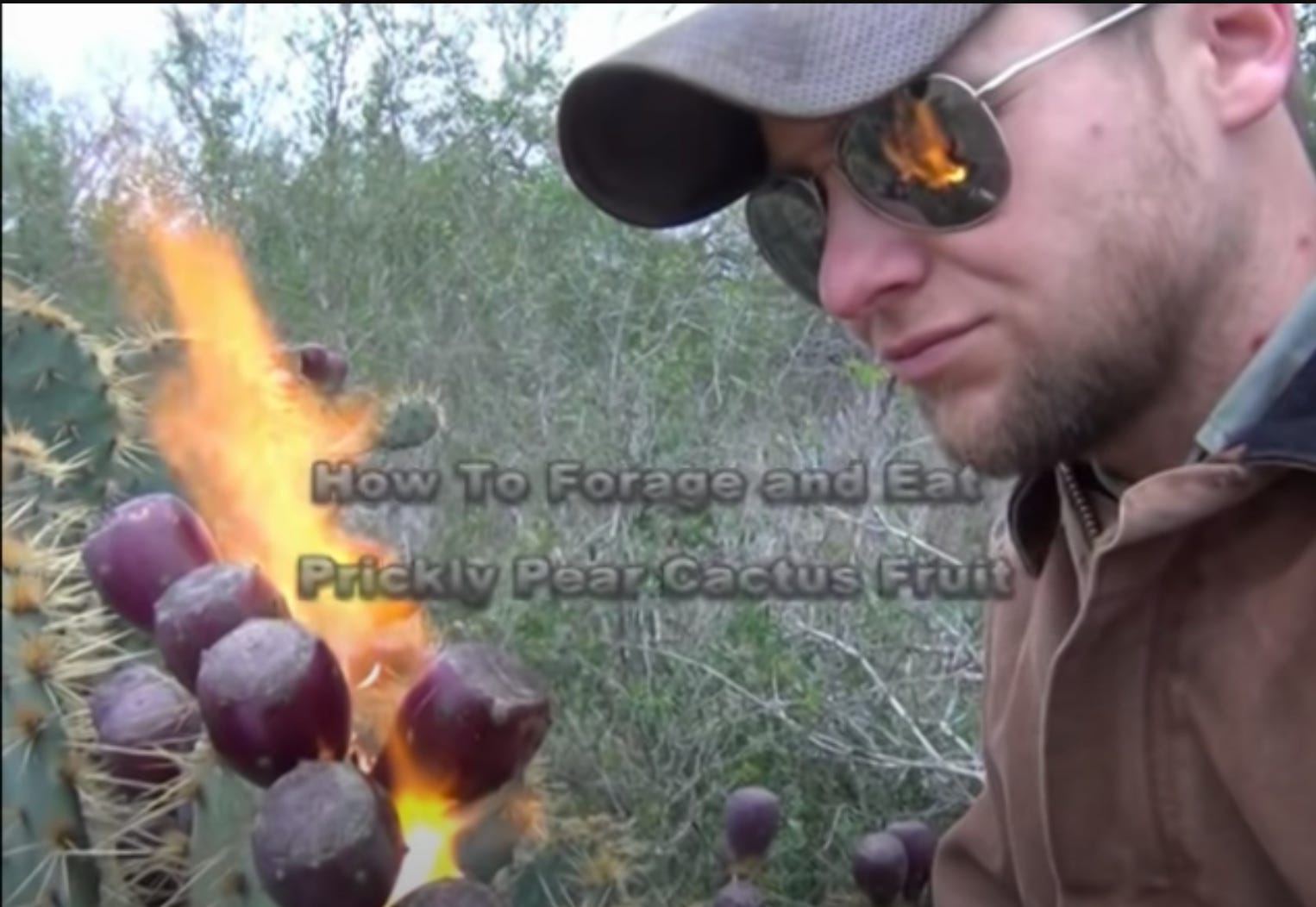 How to Gather & Process Prickly Pear Fruit for Juice - Part 1