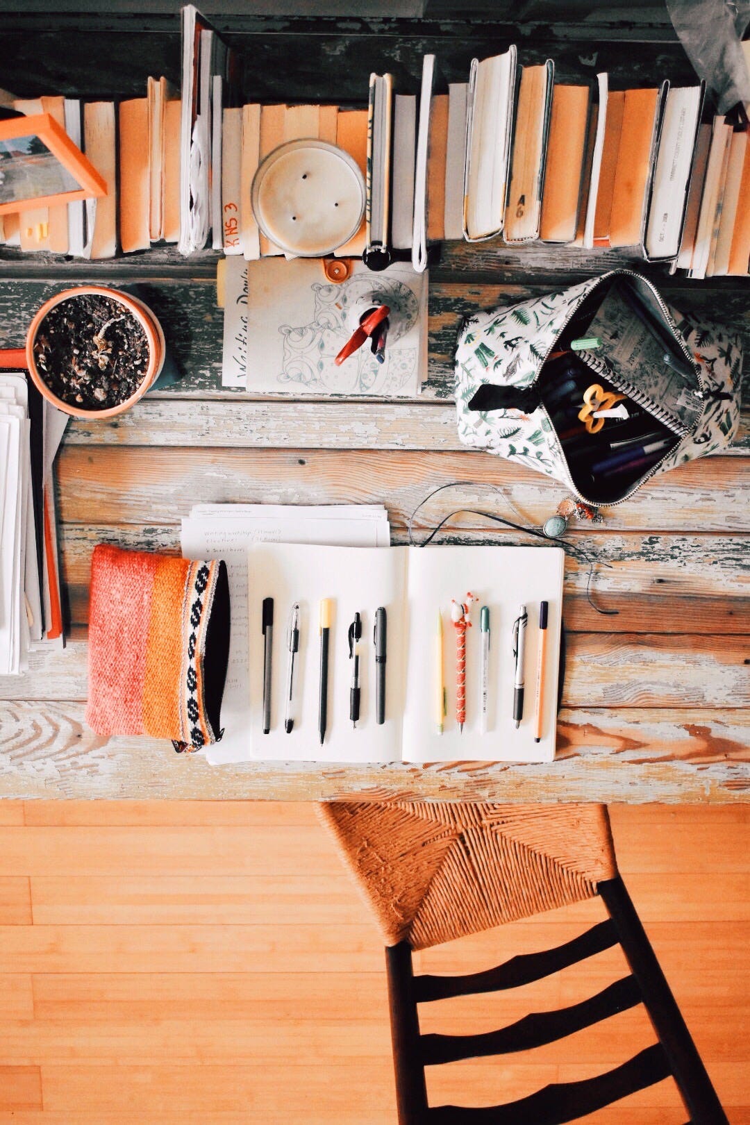 SCAMMER & CONTAGION - by Cassie Mannes Murray