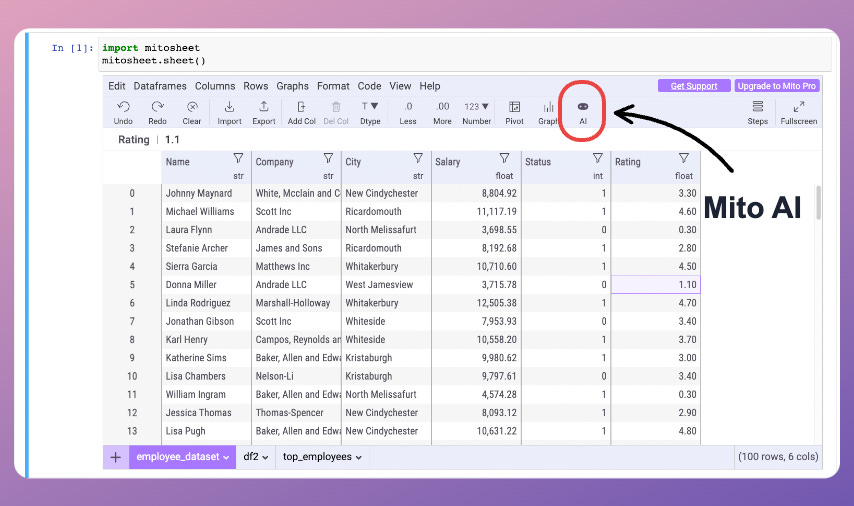 🚀 Jupyter Notebook + Spreadsheet + AI — All in One Place With Mito