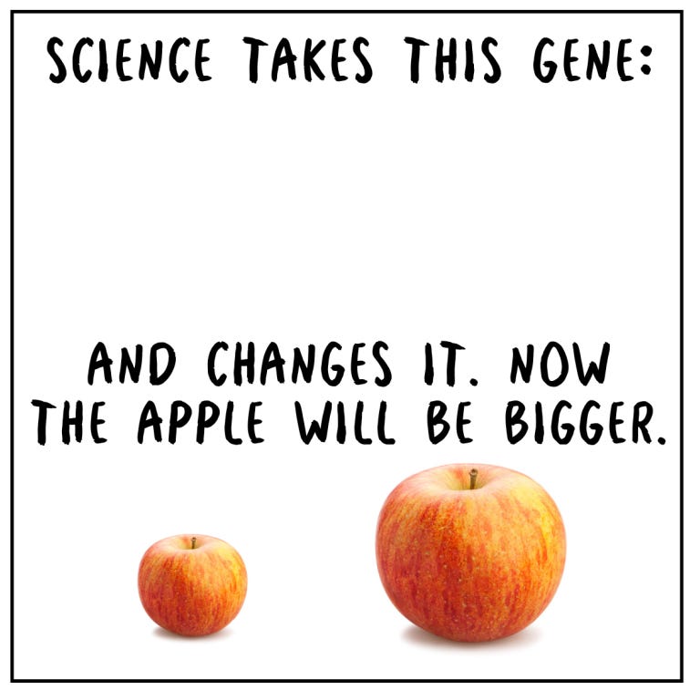 I Got a FAKE "Organic" Cucumber! The Genetically Modified Produce HOAX ...