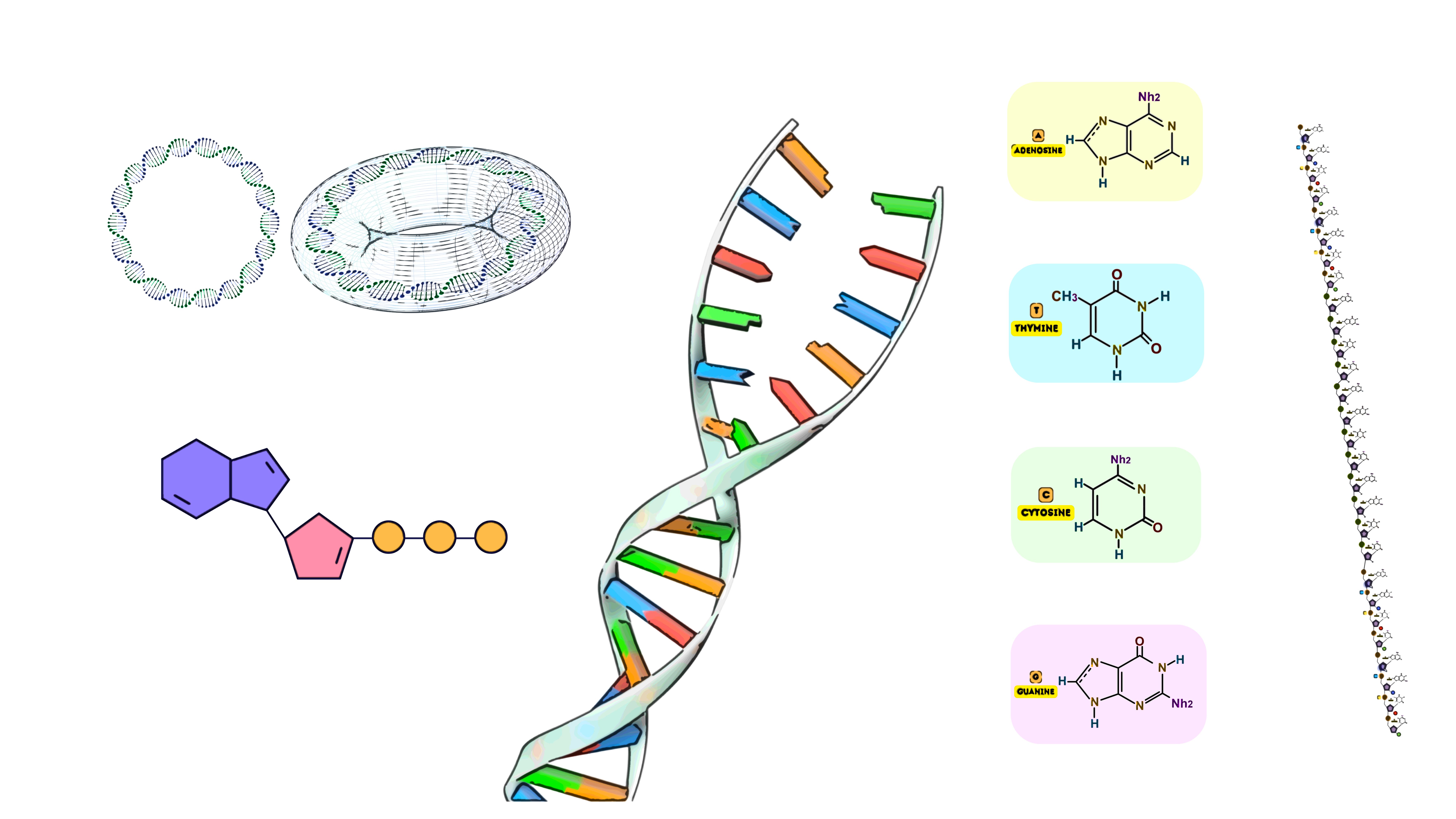 What Is Oligonucleotide Synthesis? Microarray-based oligonucleotide ...