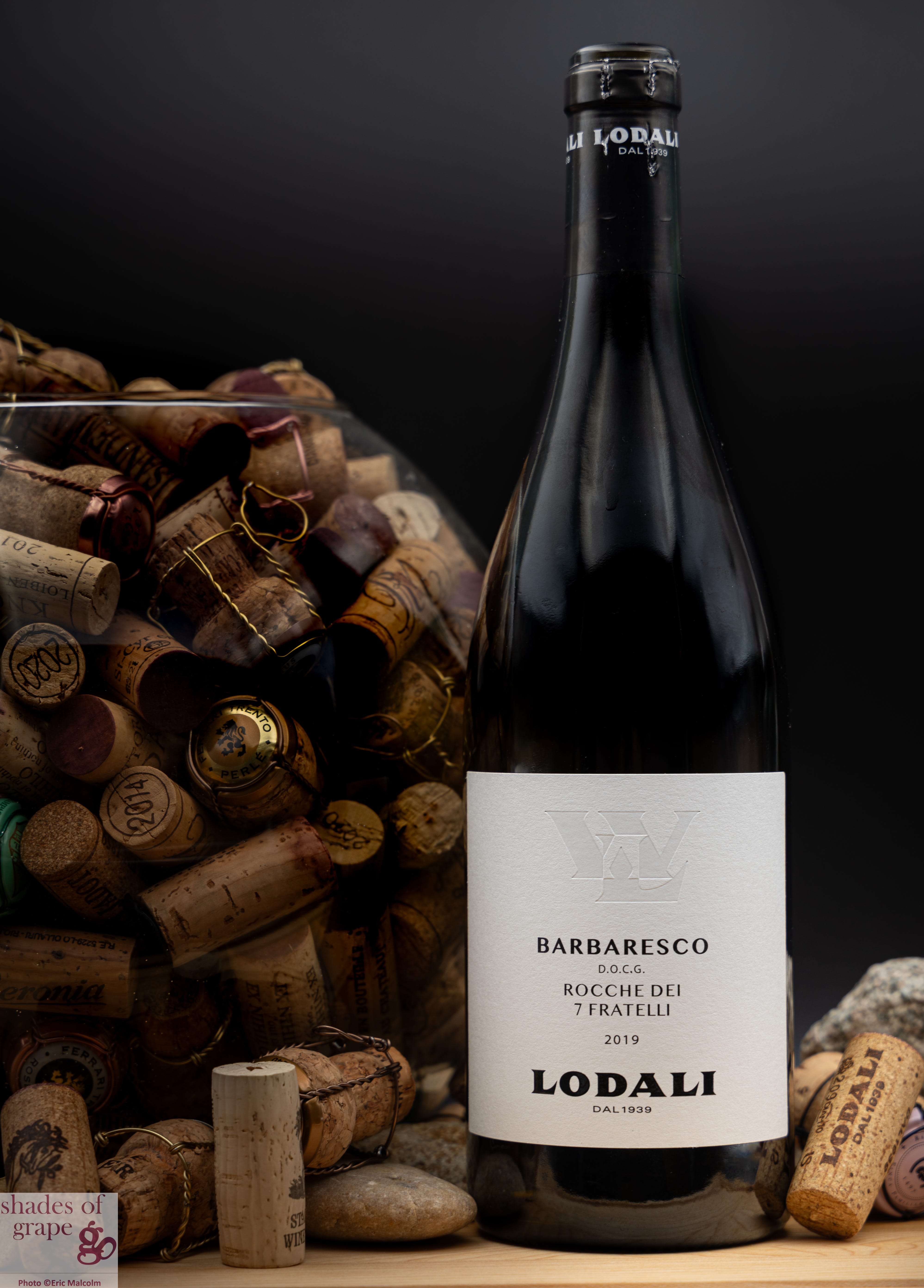 Bewildered by Italian Wine: Barbera, Barolo, Barbaresco, and More!