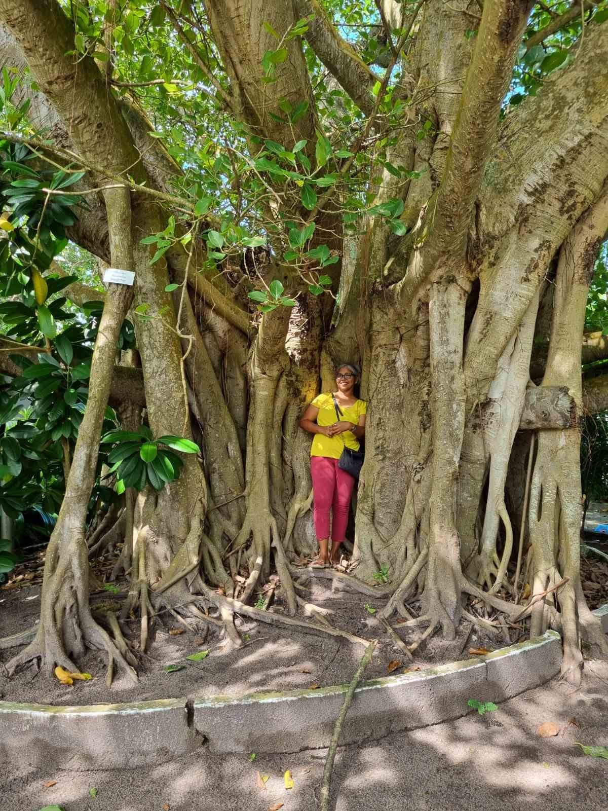 Empowering Well-Being - Graceful Ageing’s Substack