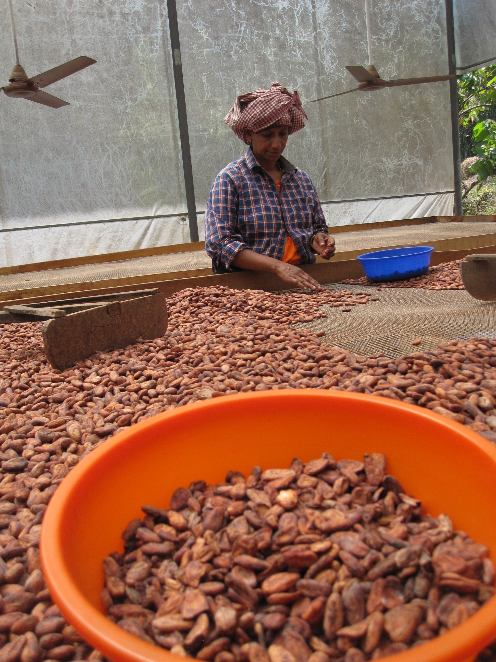 For the Love of Chocolate | Joy Skipper