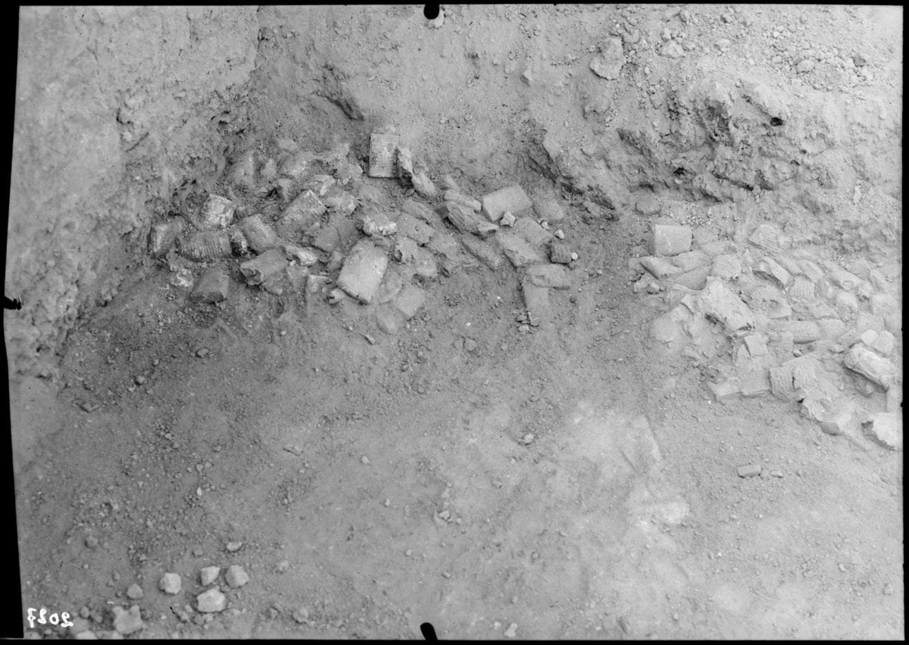 The King Who Ordered a Quarantine to Flatten the Curve 4,000 Years Ago