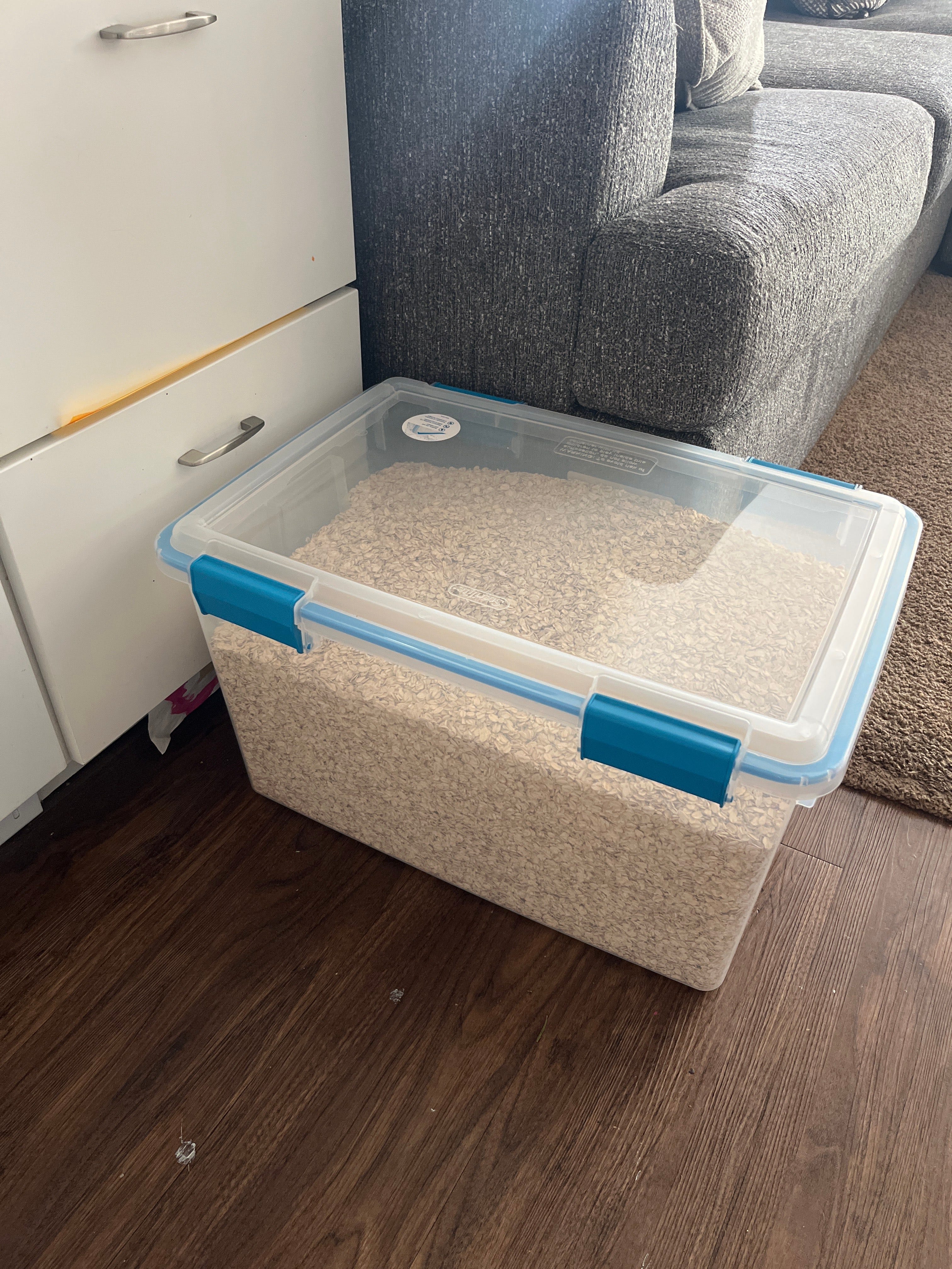 Backwoods Strength and Conditioning | Robert Cox | Substack