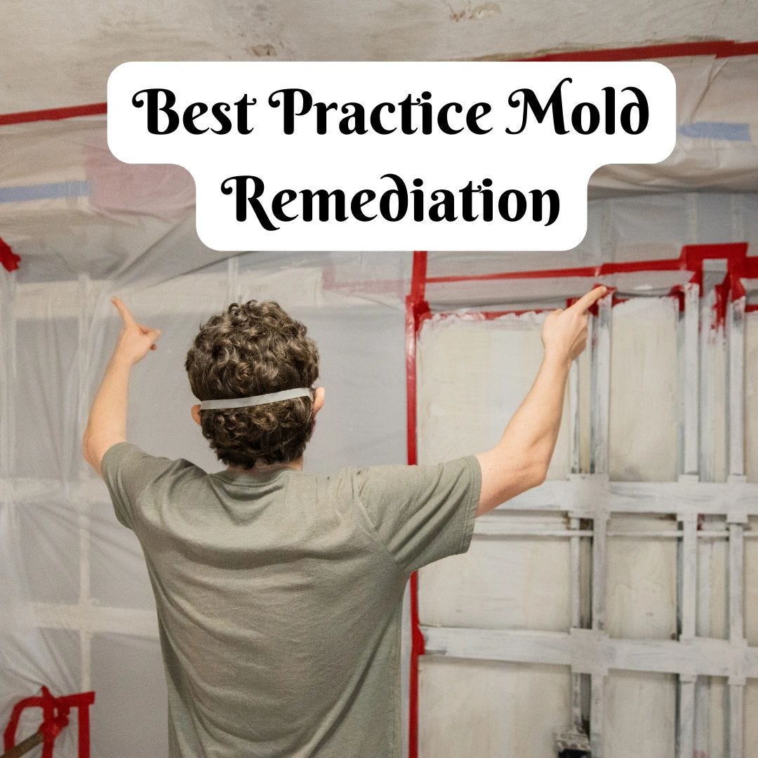 Best Practice Mold Remediation: Mold Money Review