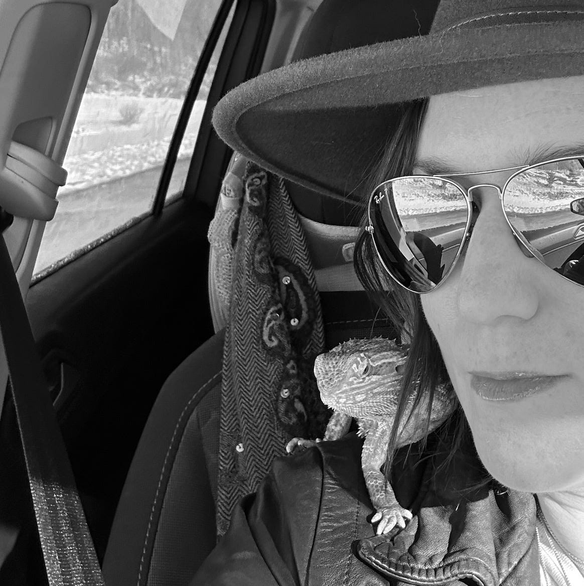 Rebecca Crinean Pickens | Substack