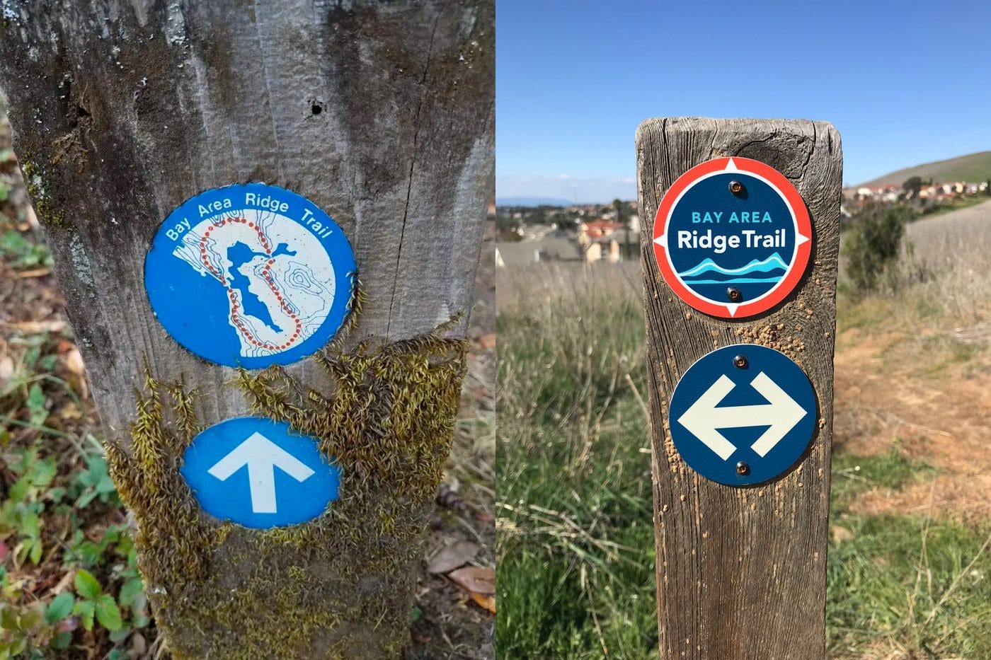 The Joy of Scheming - by Blake Boles