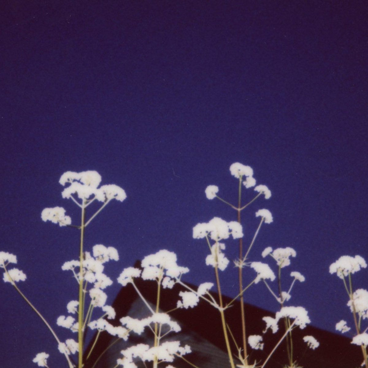 La gestion de classe vise la coopération et non le contrôle