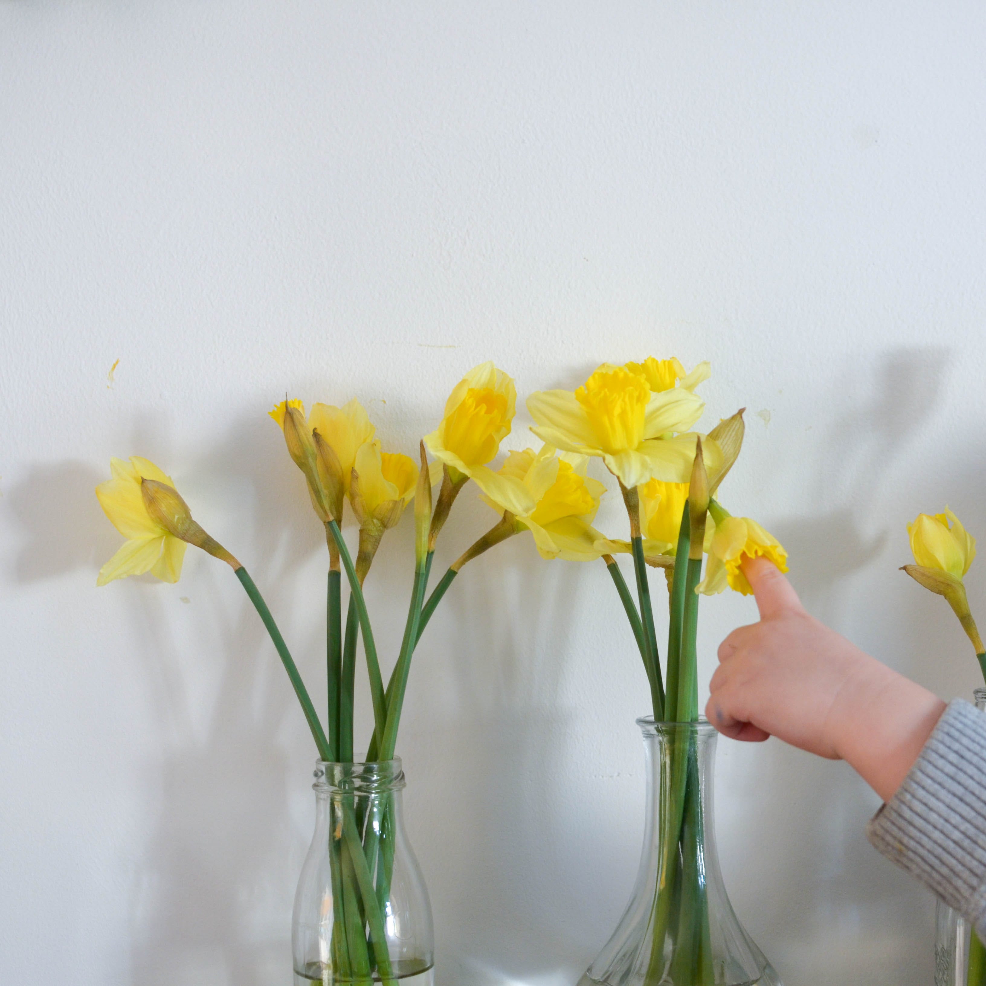 Presence, Sabbath & Daffodils - by Debbie Horrocks