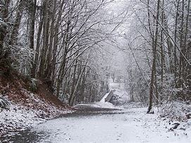 Hungry People Don't Stop - Clay Bowers' Substack