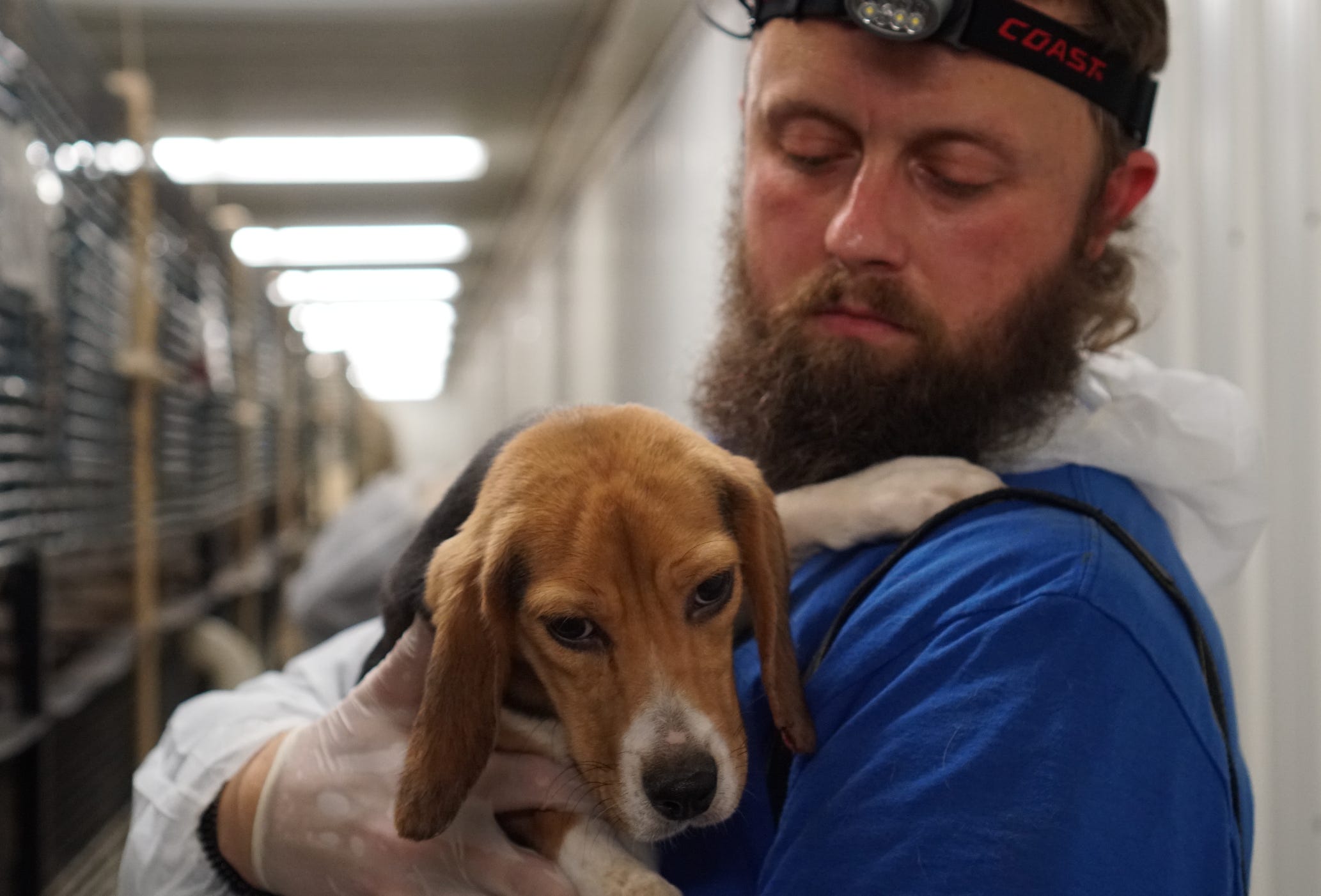 The Two Words That Can Save Millions of Dogs