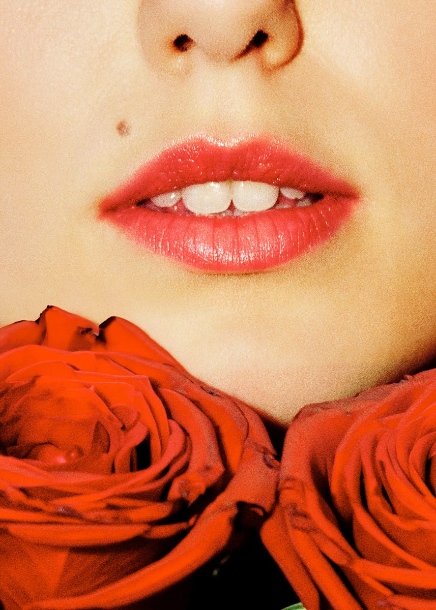 Petals and Promises - Photo Vignettes by Dave Blake