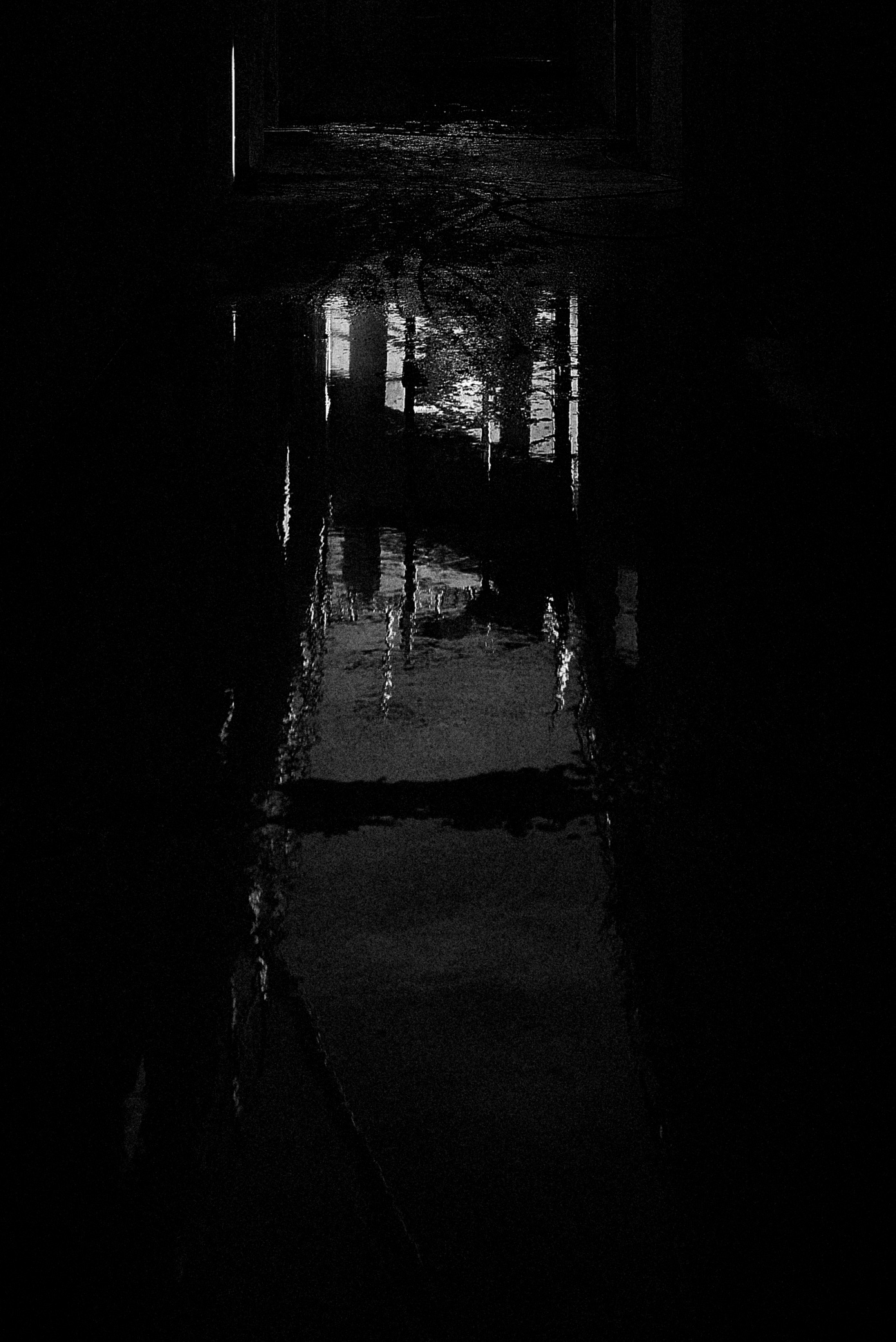 Fireball - fred el bekkay