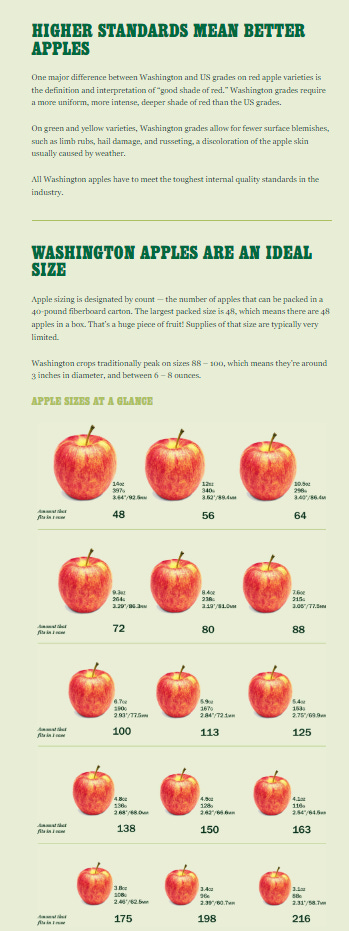 The Foolish Quest for the Perfect Apple - by RayArmat