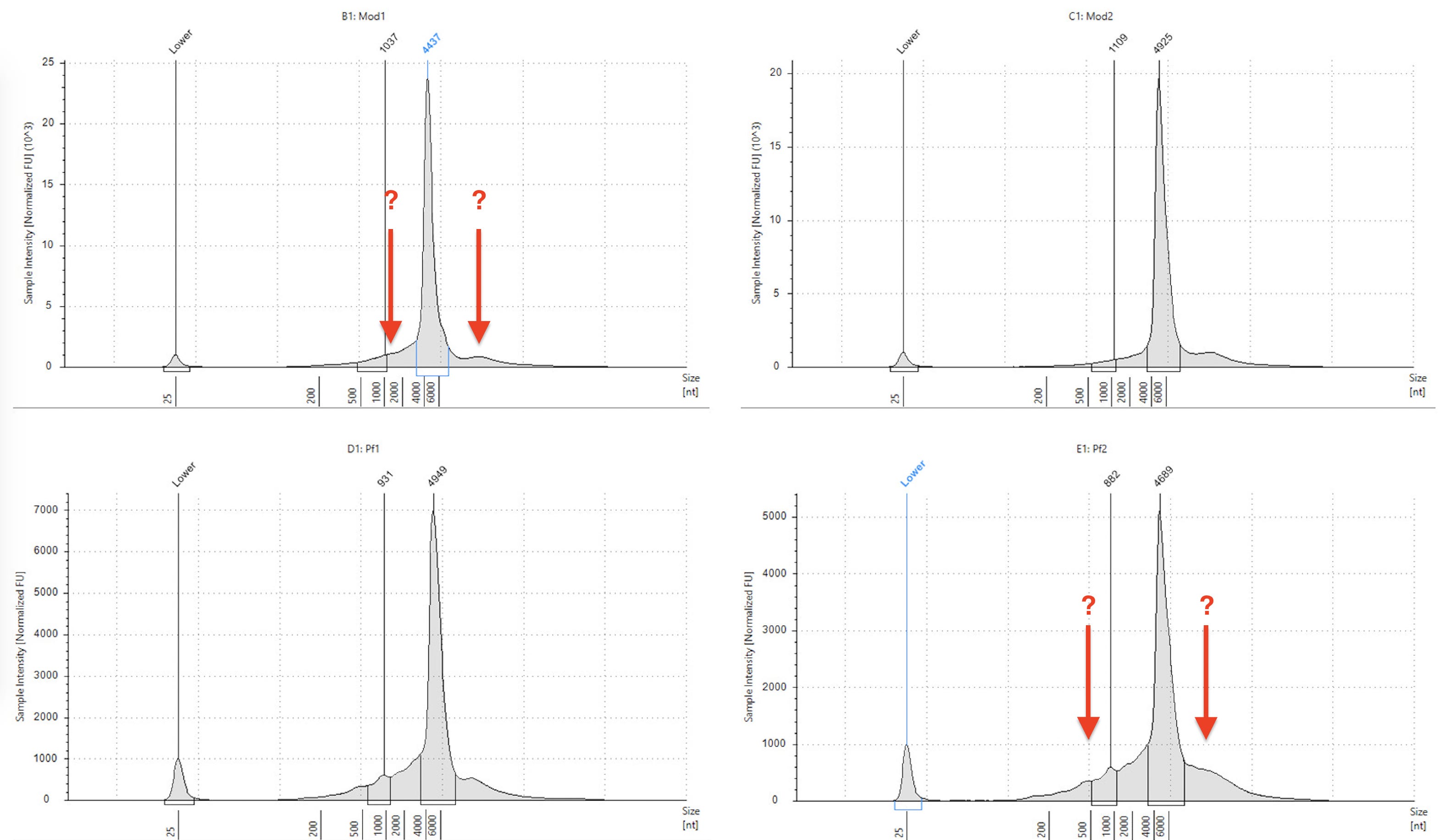 Deep sequencing of the Moderna and Pfizer bivalent vaccines identifies ...