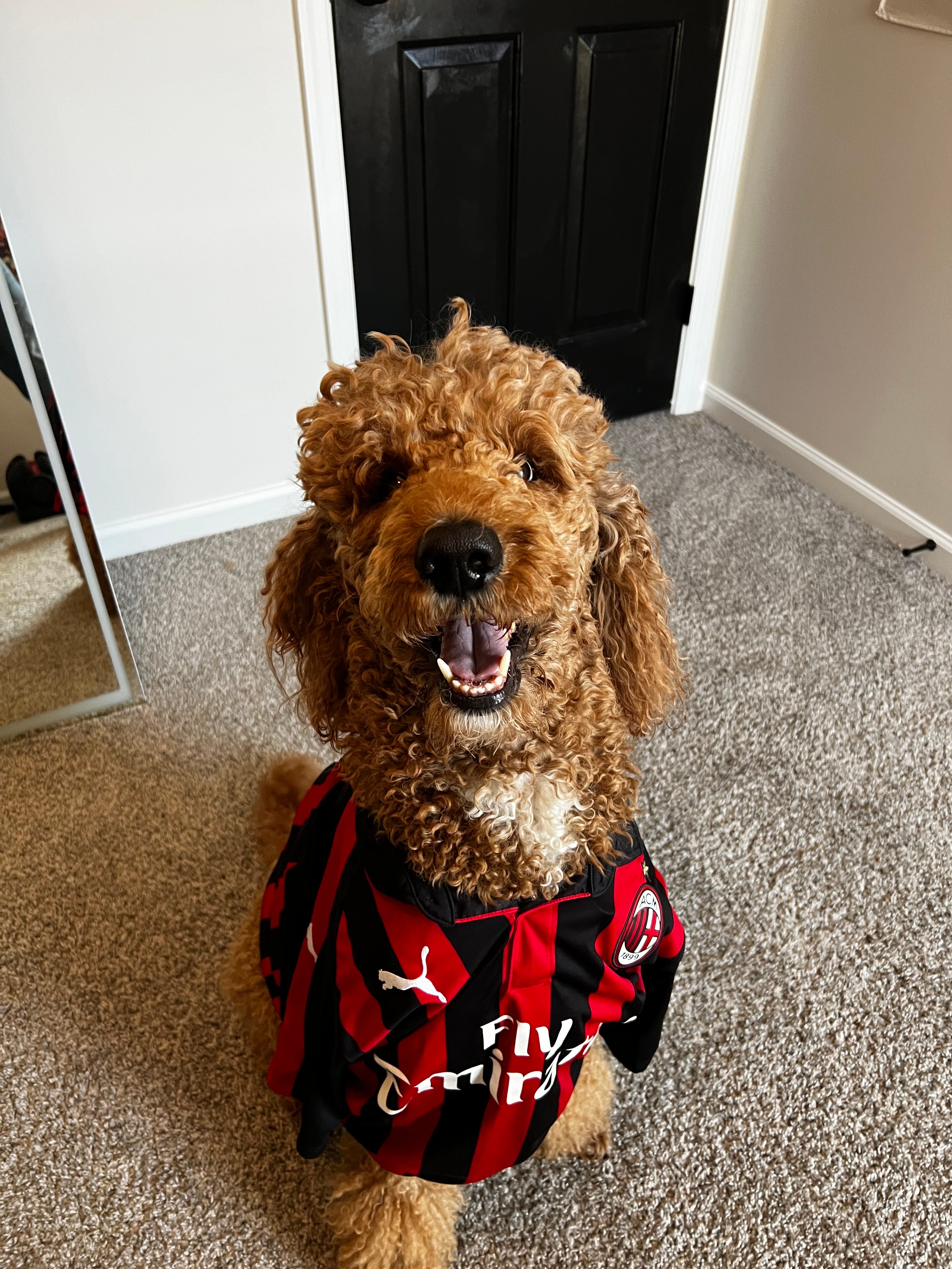 Anthony Torgrude | Substack