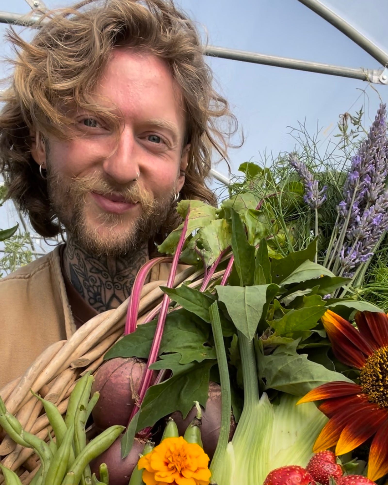 Jamie Walton | Substack